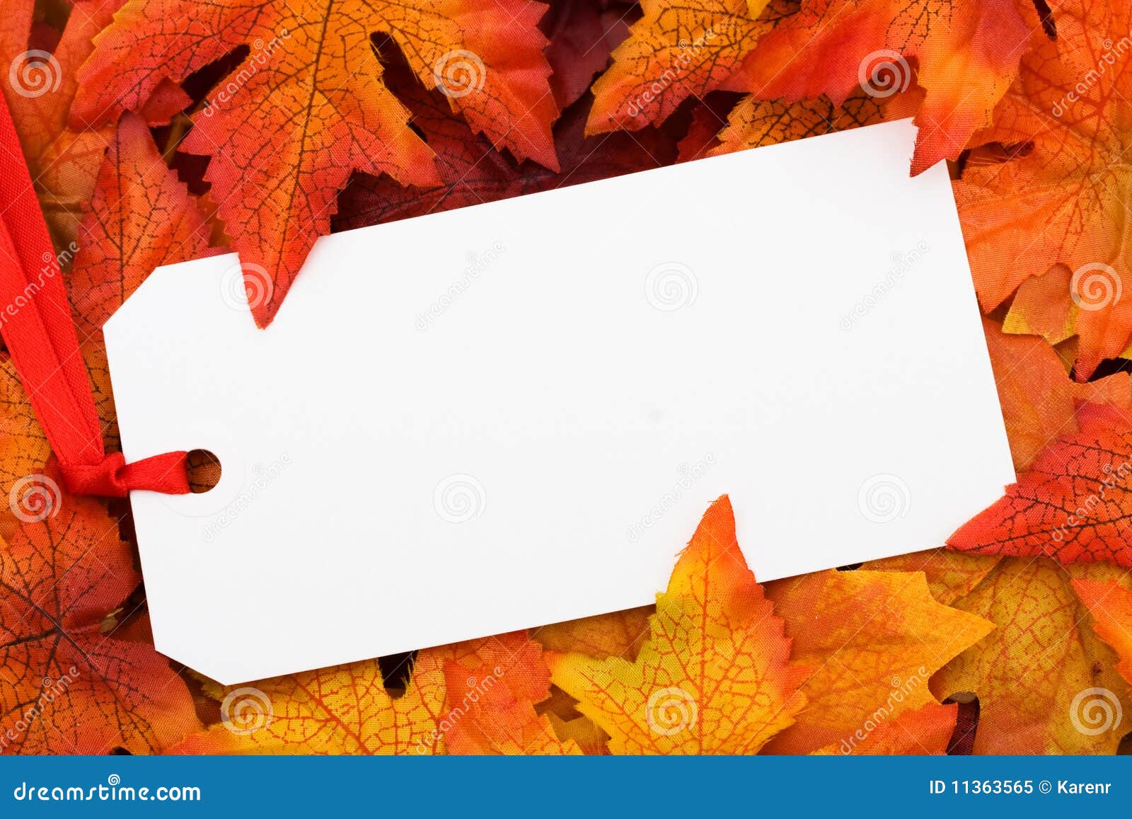 Fall Leaves stock image. Image of frame, harvest, harvesting - 11363565
