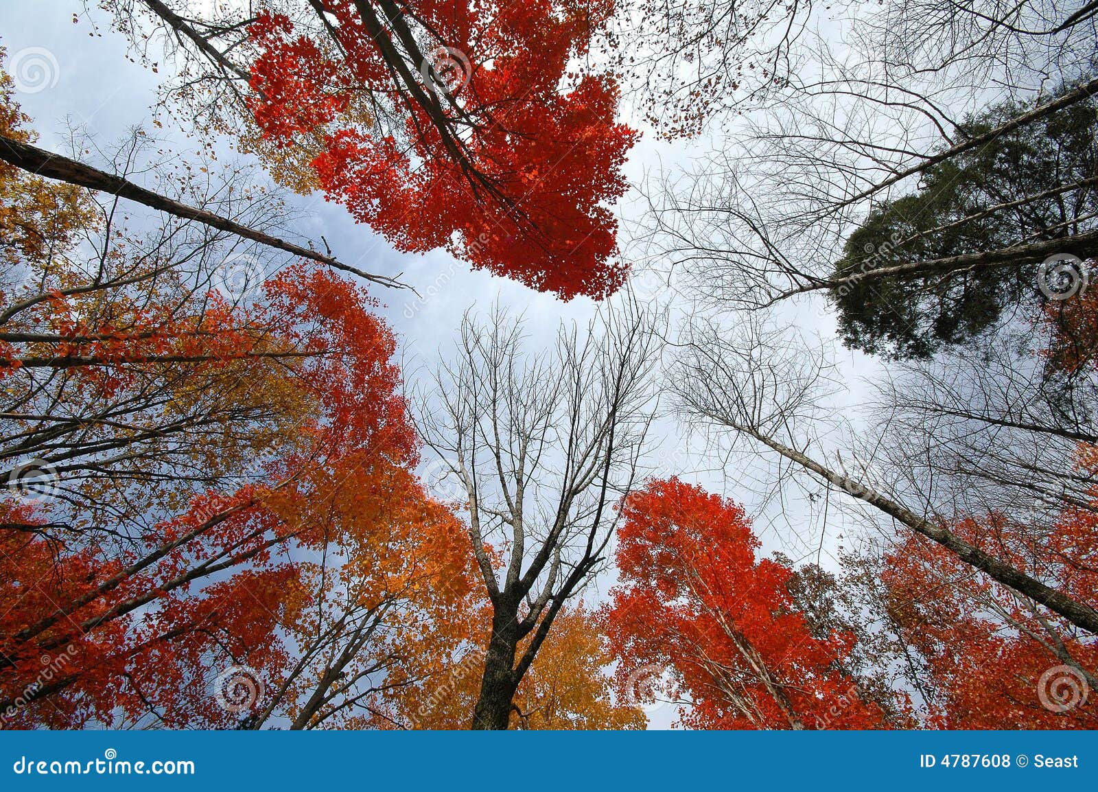 The Towering And Tall Gate Towers Of Ancient Chinese Architecture ...