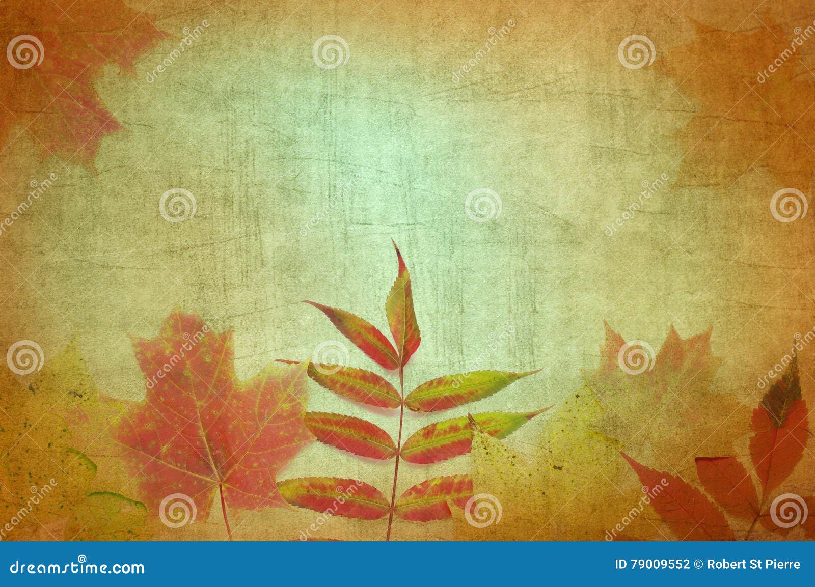 Fall Leaves with Abstract Texture Stock Photo - Image of harvest, fall ...
