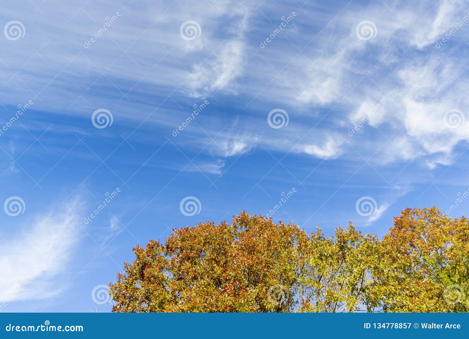 Fall Leaves Against an Autumn Blue Sky Stock Image - Image of beautiful ...
