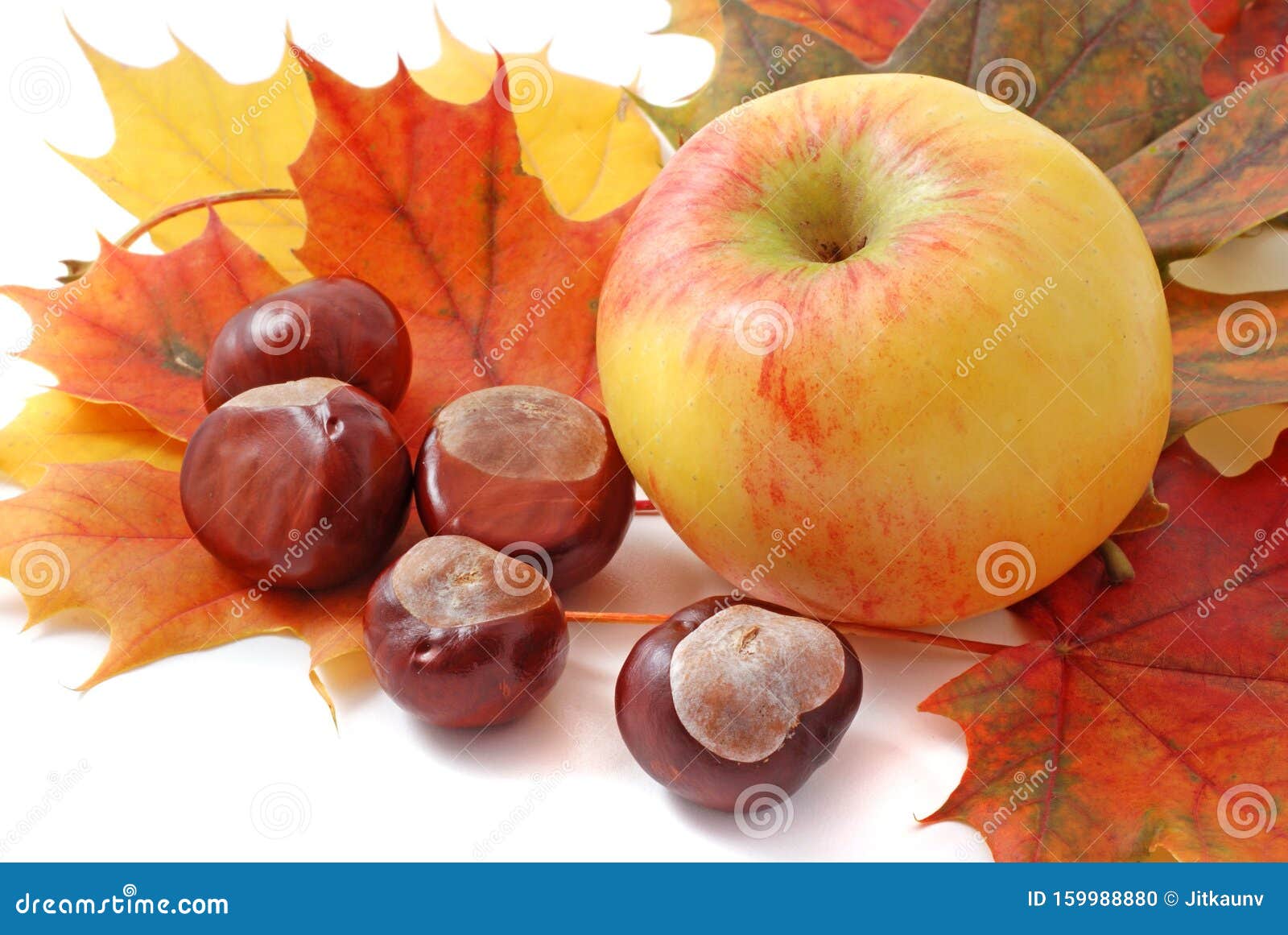 Chestnuts and Apple with Color Leaves. Stock Photo - Image of season ...