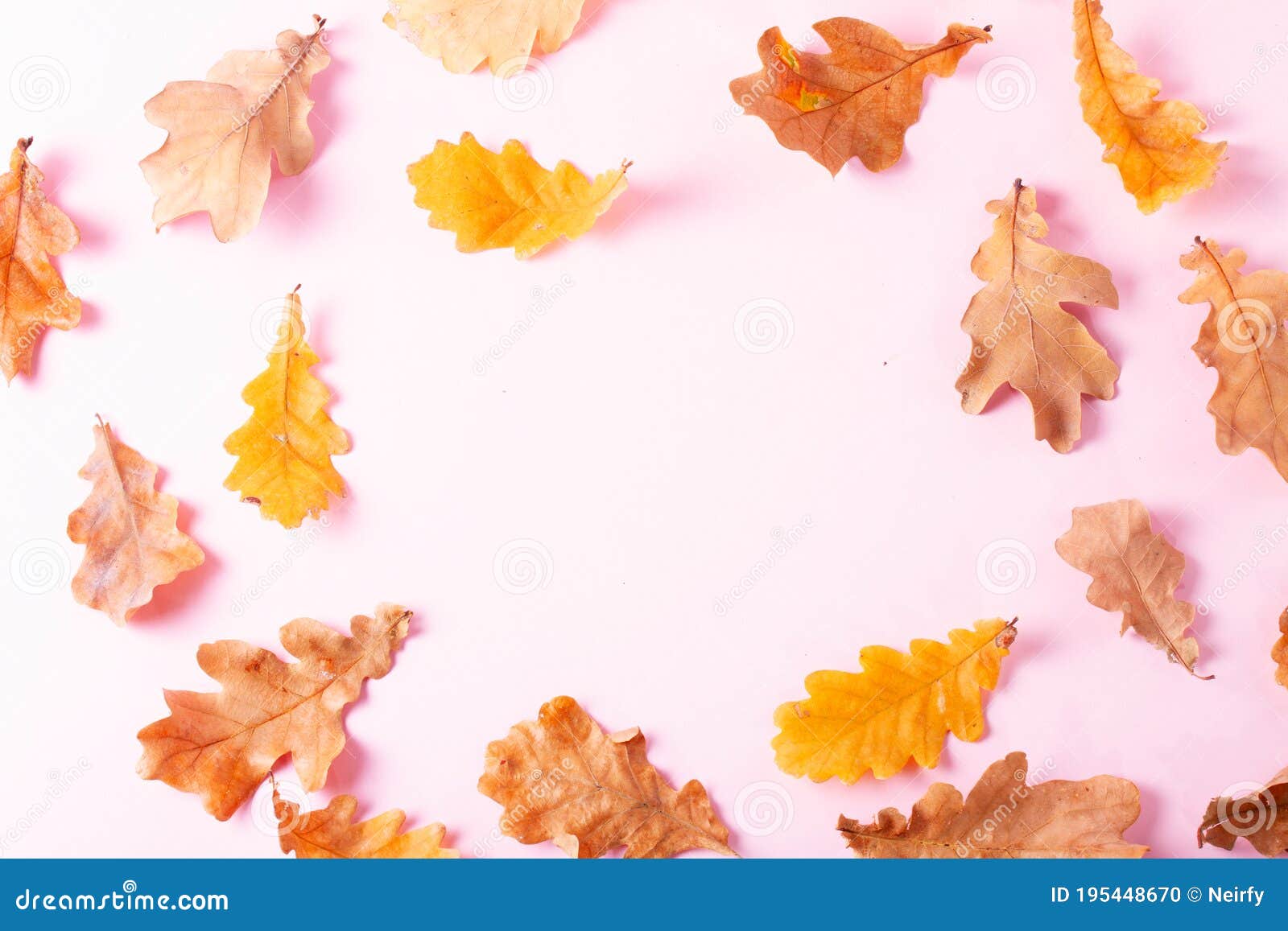 Fall Leaves Autumn Background Stock Photo - Image of flat, fall: 195448670