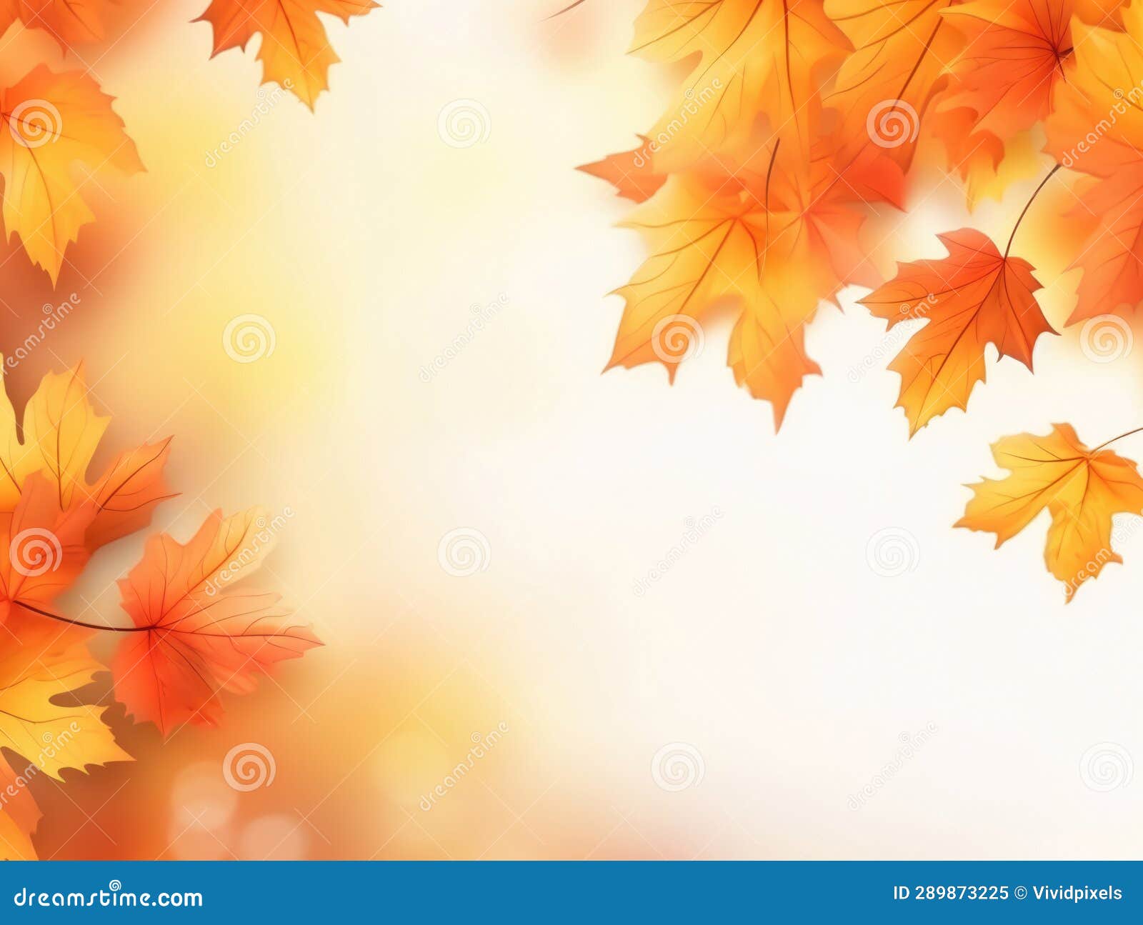 Fall Leaves Background Border with Oranges and Yellows Stock ...