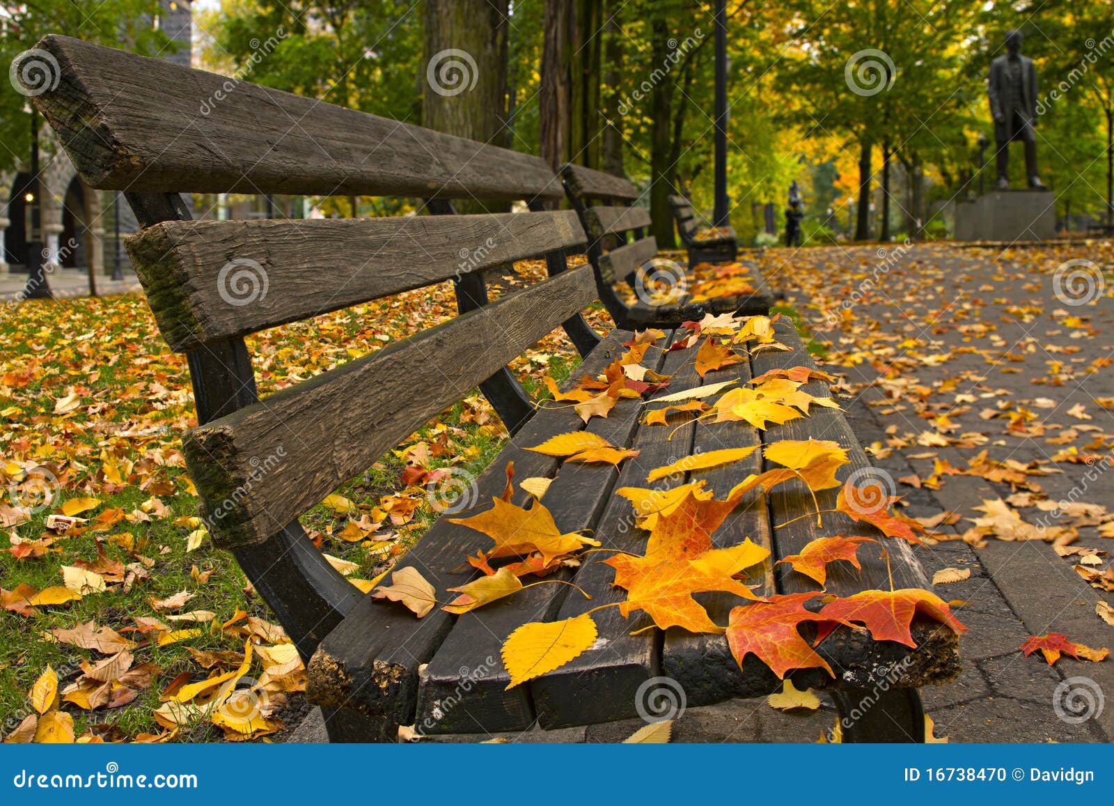 Fall Leaves on Benches Along Park Stock Photo - Image of season ...