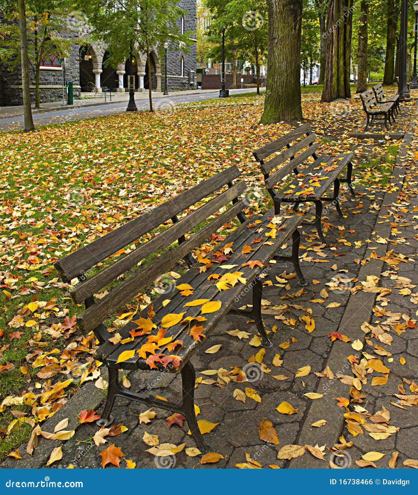 Fall Leaves on Benches Along Park 2 Stock Photo - Image of seat, season ...