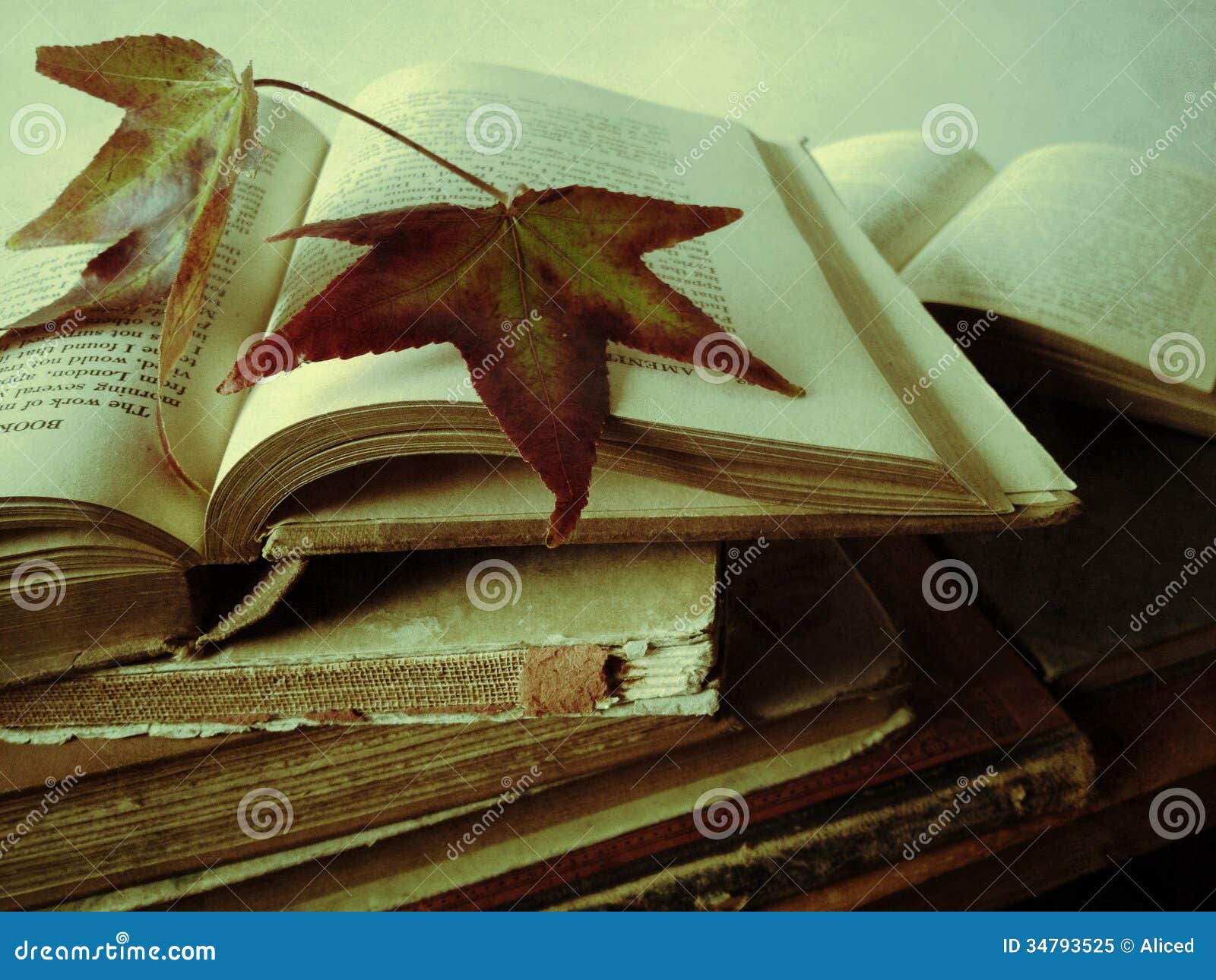 Fall leaves on books stock image. Image of nature, literature - 34793525