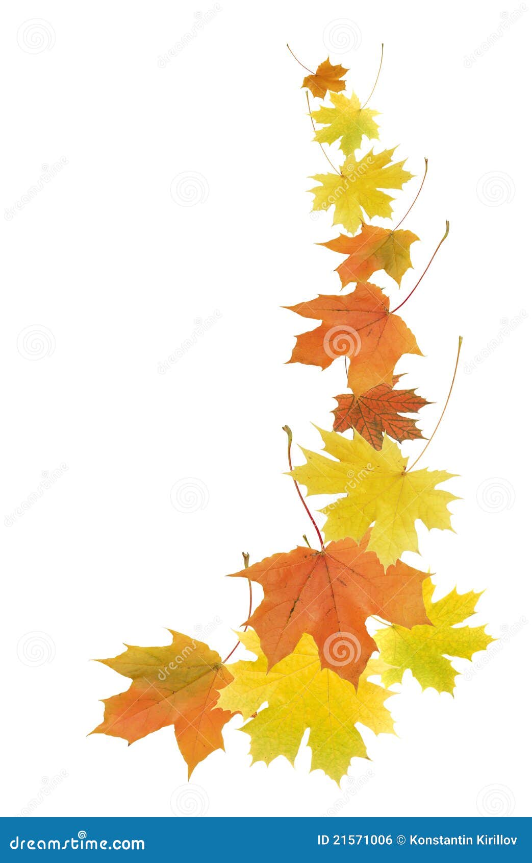 Fall Leaves Border stock photo. Image of maple, fall - 21571006
