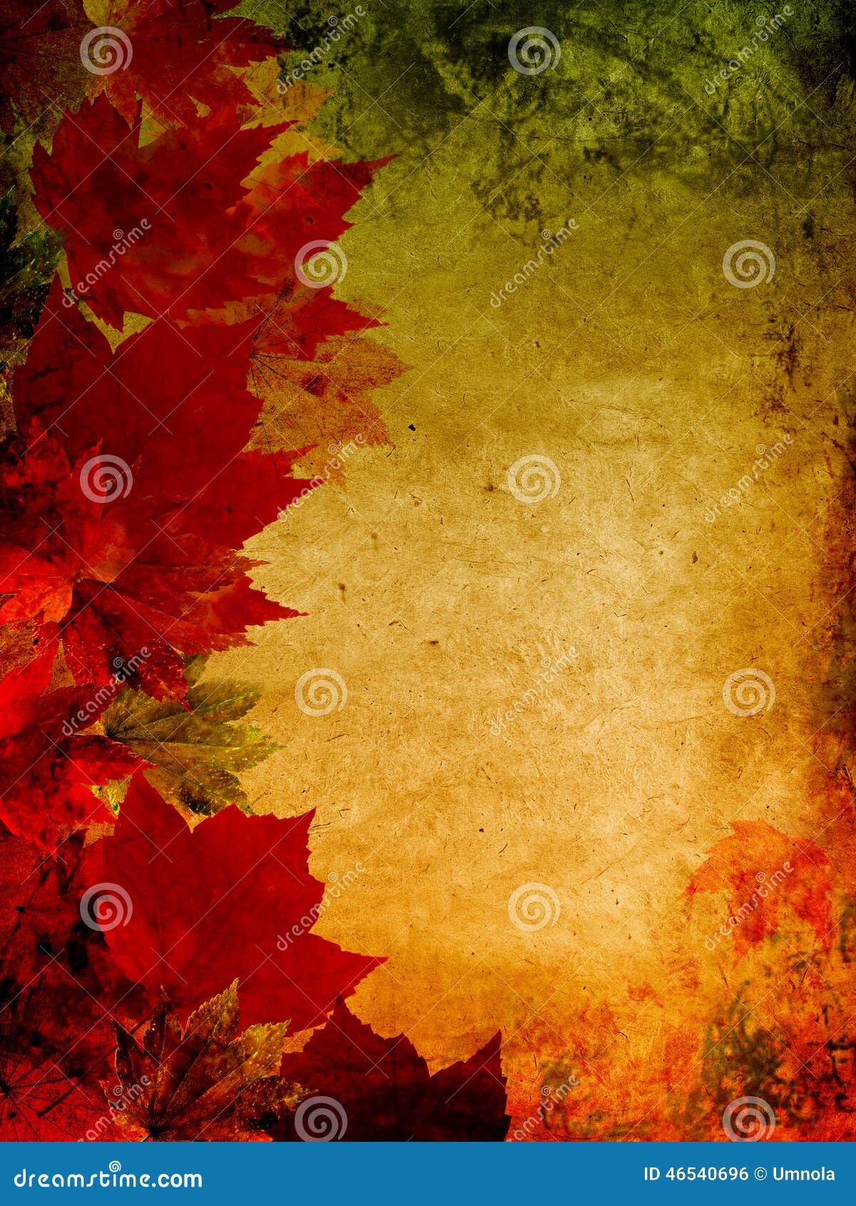 Fall leaves border stock photo. Image of grain, design - 46540696
