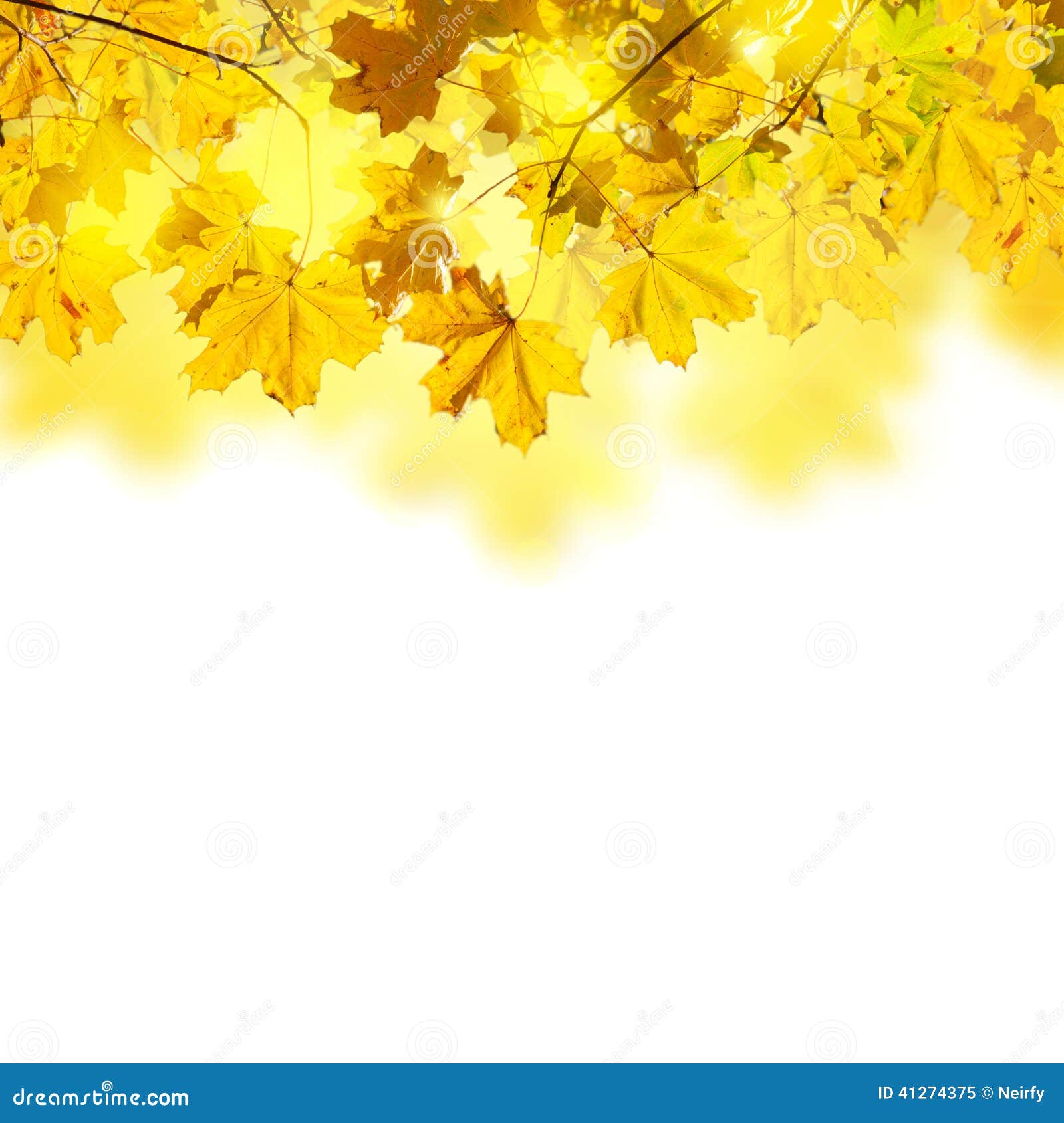 Fall leaves stock image. Image of ecology, beam, leaf - 41274375