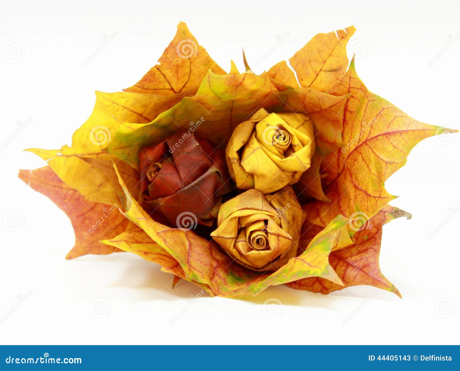 Fall leaves bouquet stock image. Image of bouquet, closeup - 44405143