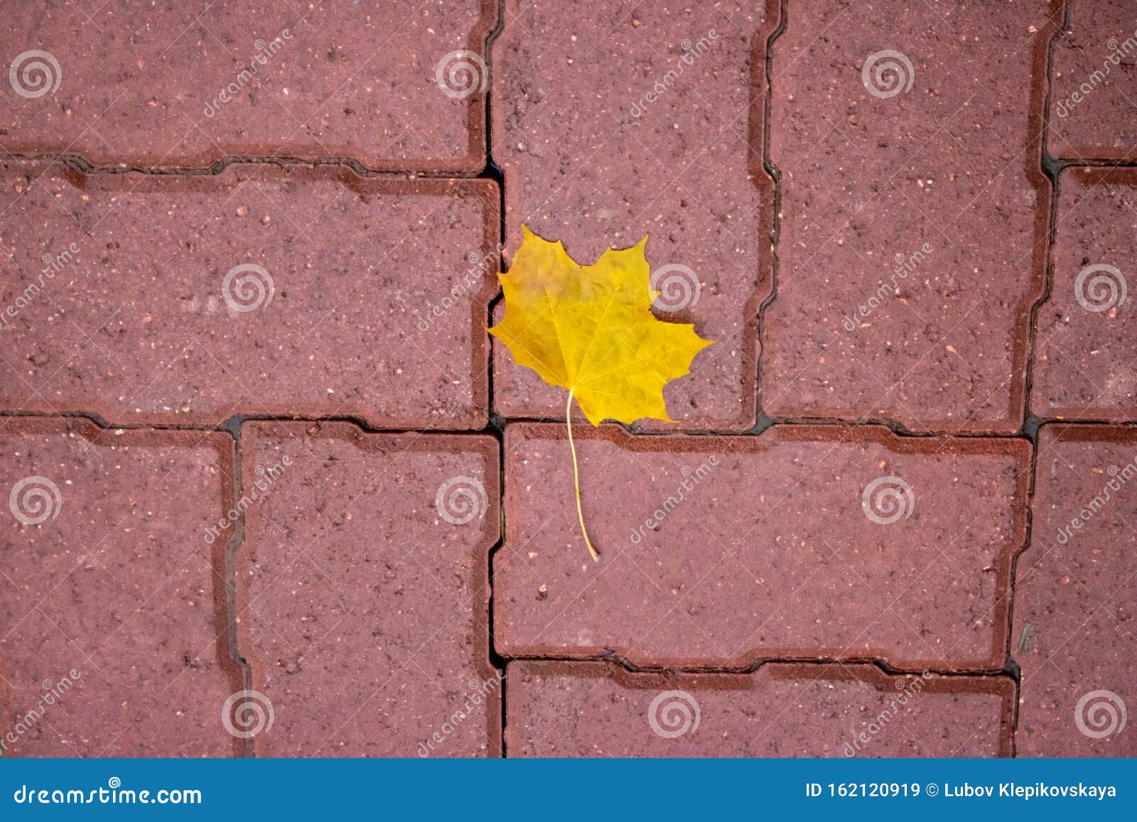 Fall Leaves on Cobblestone Path in Park in October Stock Image - Image ...