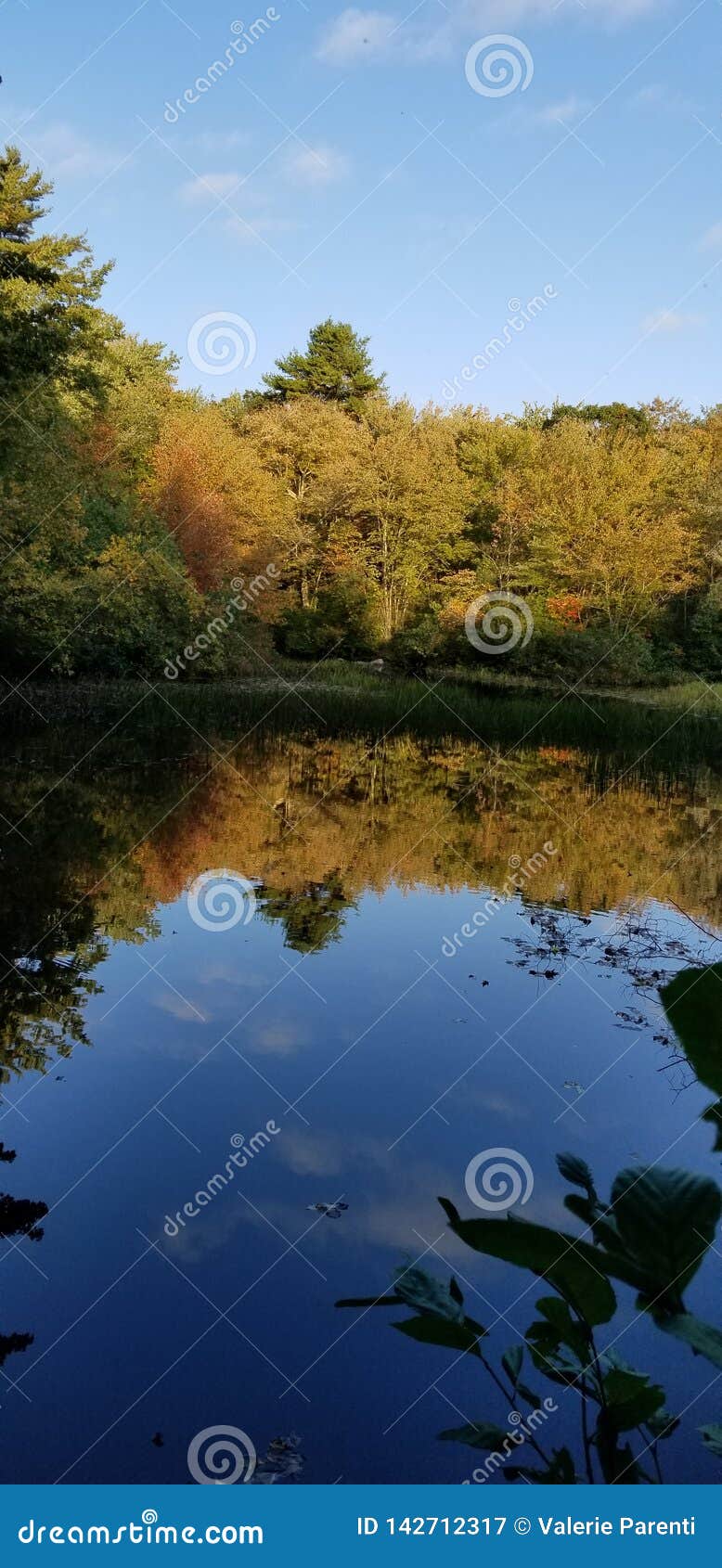 Fall Leaves Colors Reflections Pond Sunset Stock Image - Image of ...
