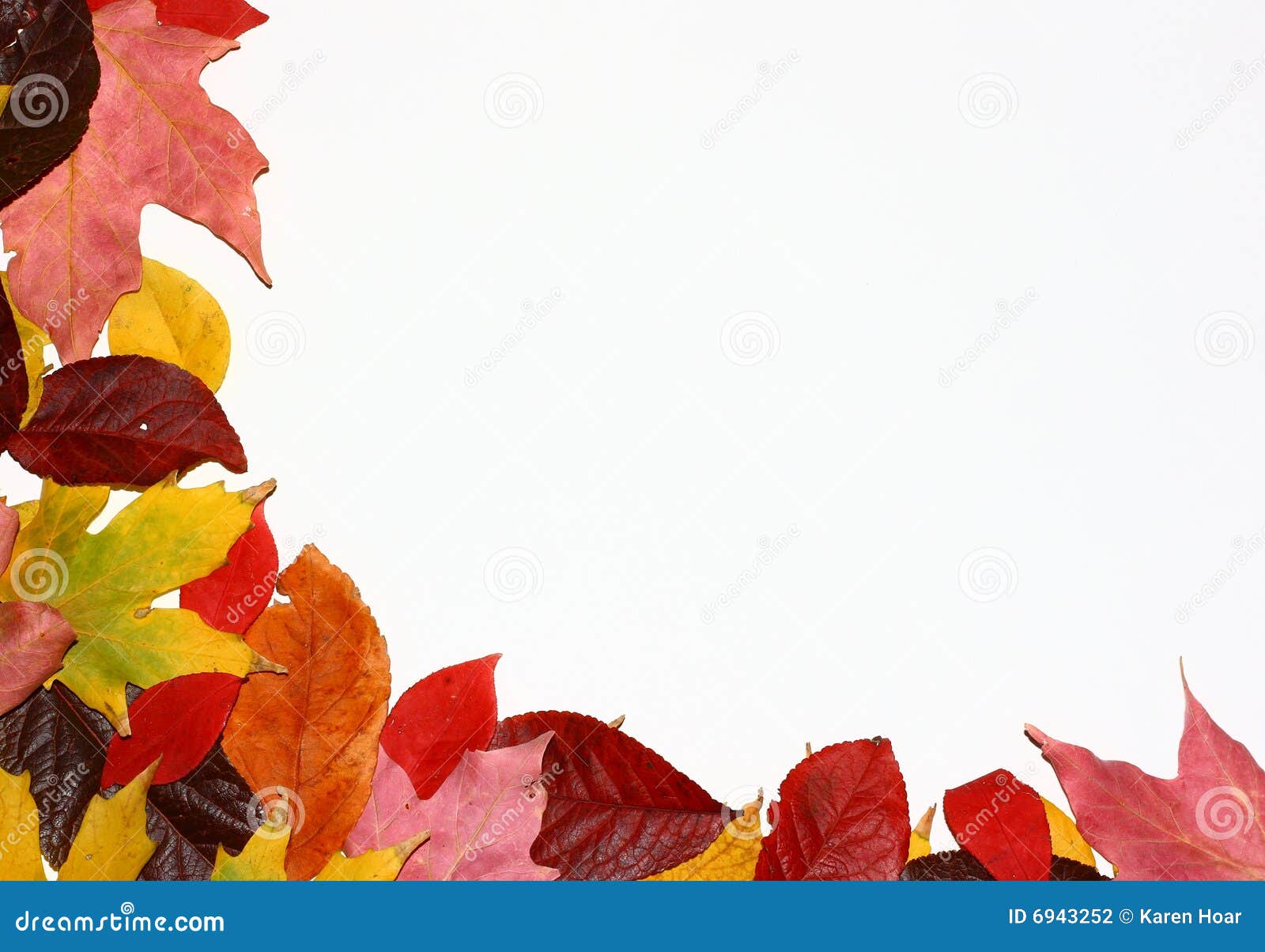 Fall Leaves Corner stock photo. Image of nature, plant - 6943252
