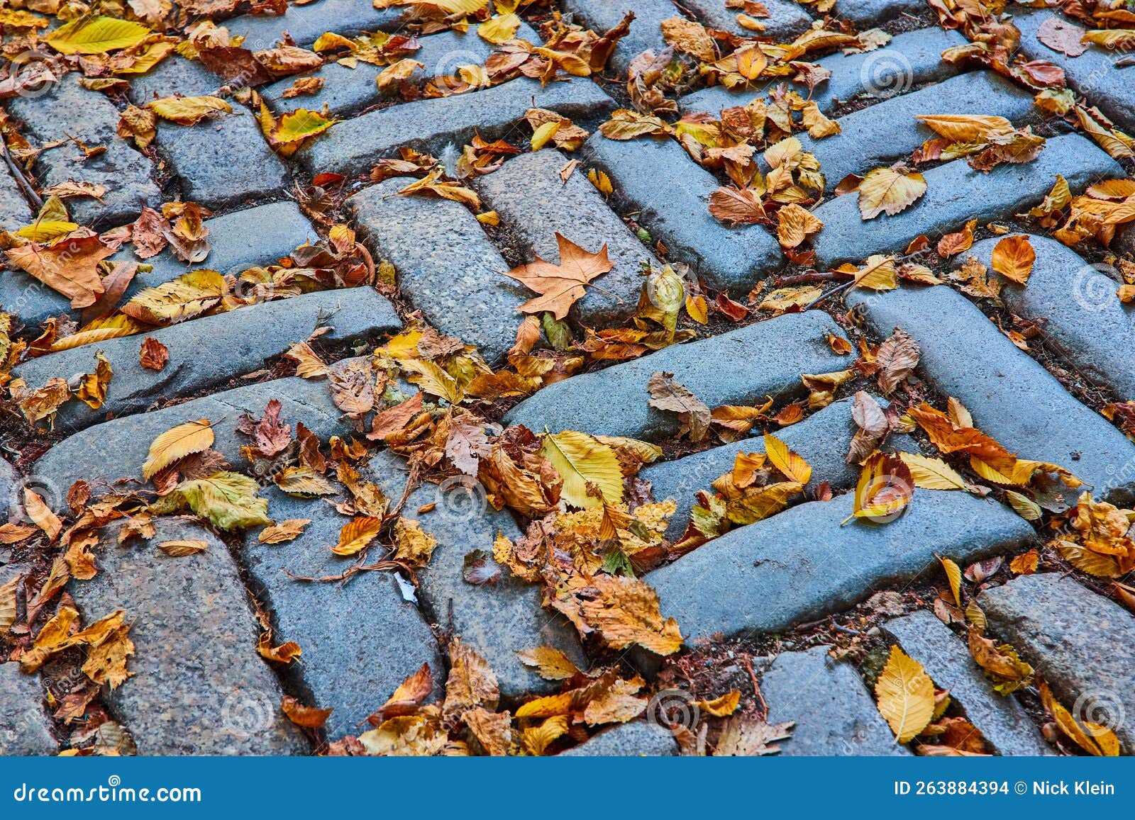 Fall Leaves Filling Cracks of Beautiful Brick Pattern on Walkway Stock ...