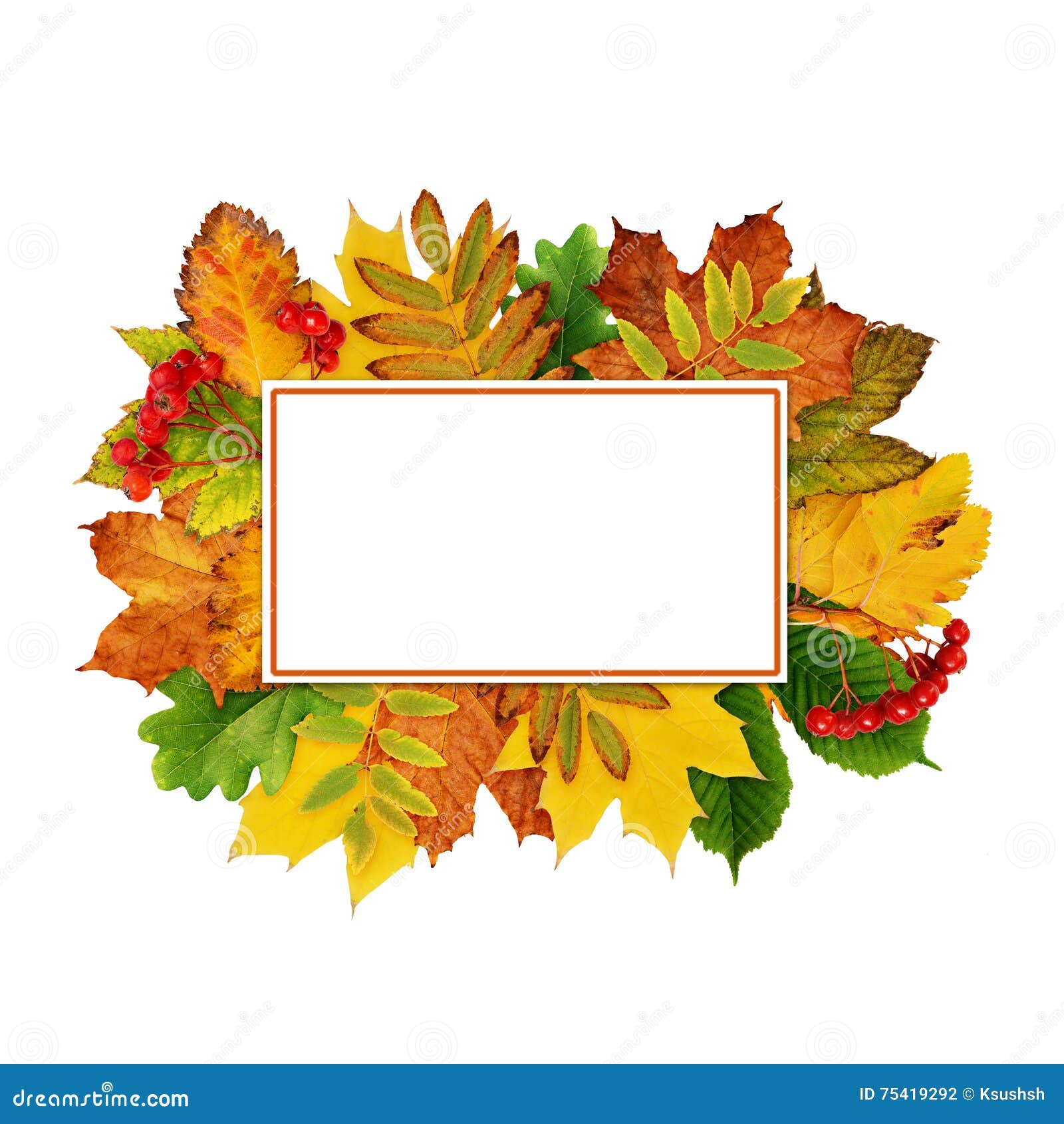 Fall leaves frame stock photo. Image of decoration, orange - 75419292