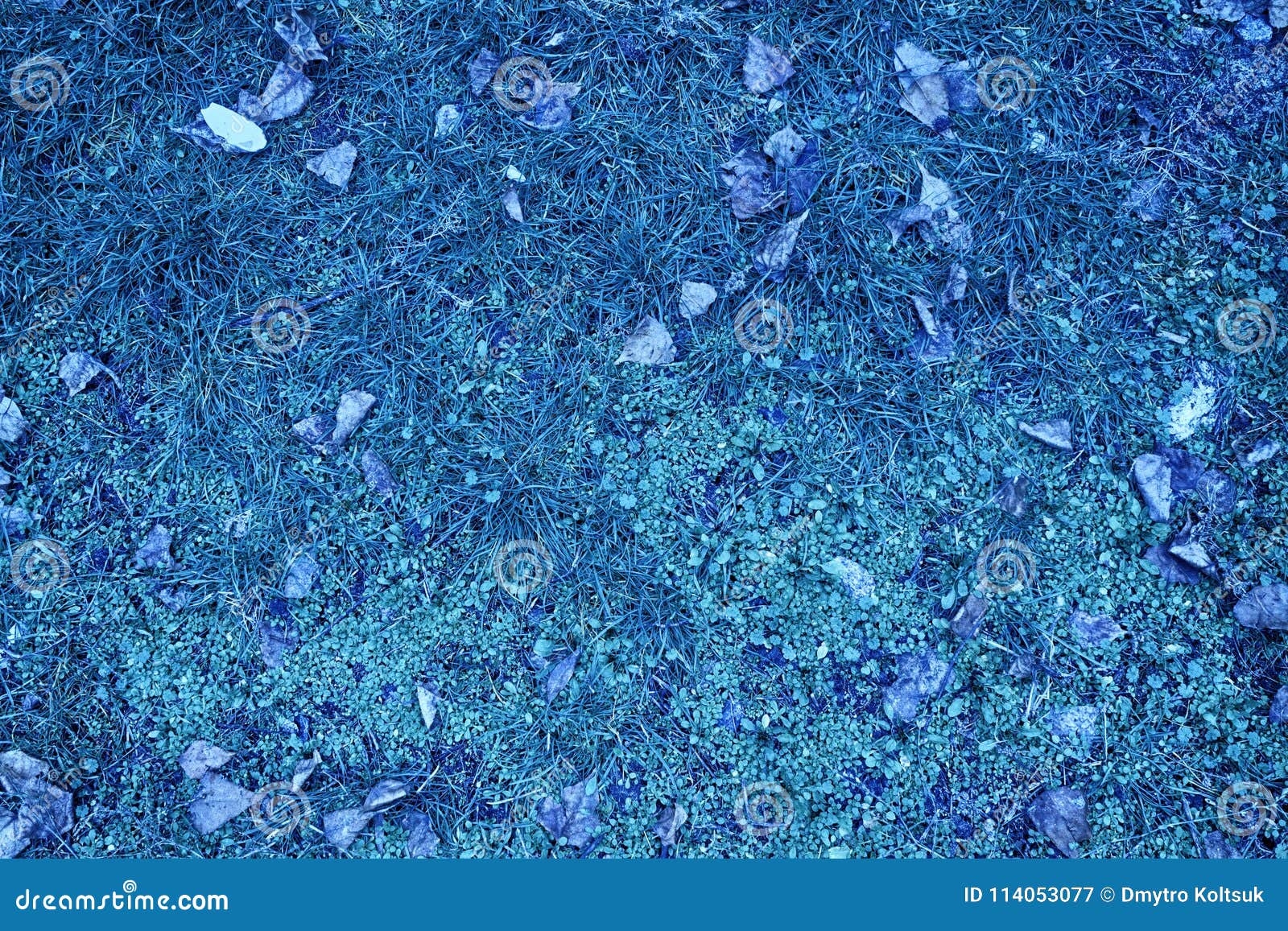 Fall Leaves on Green Grass Field, View from Above, Autumn Background ...