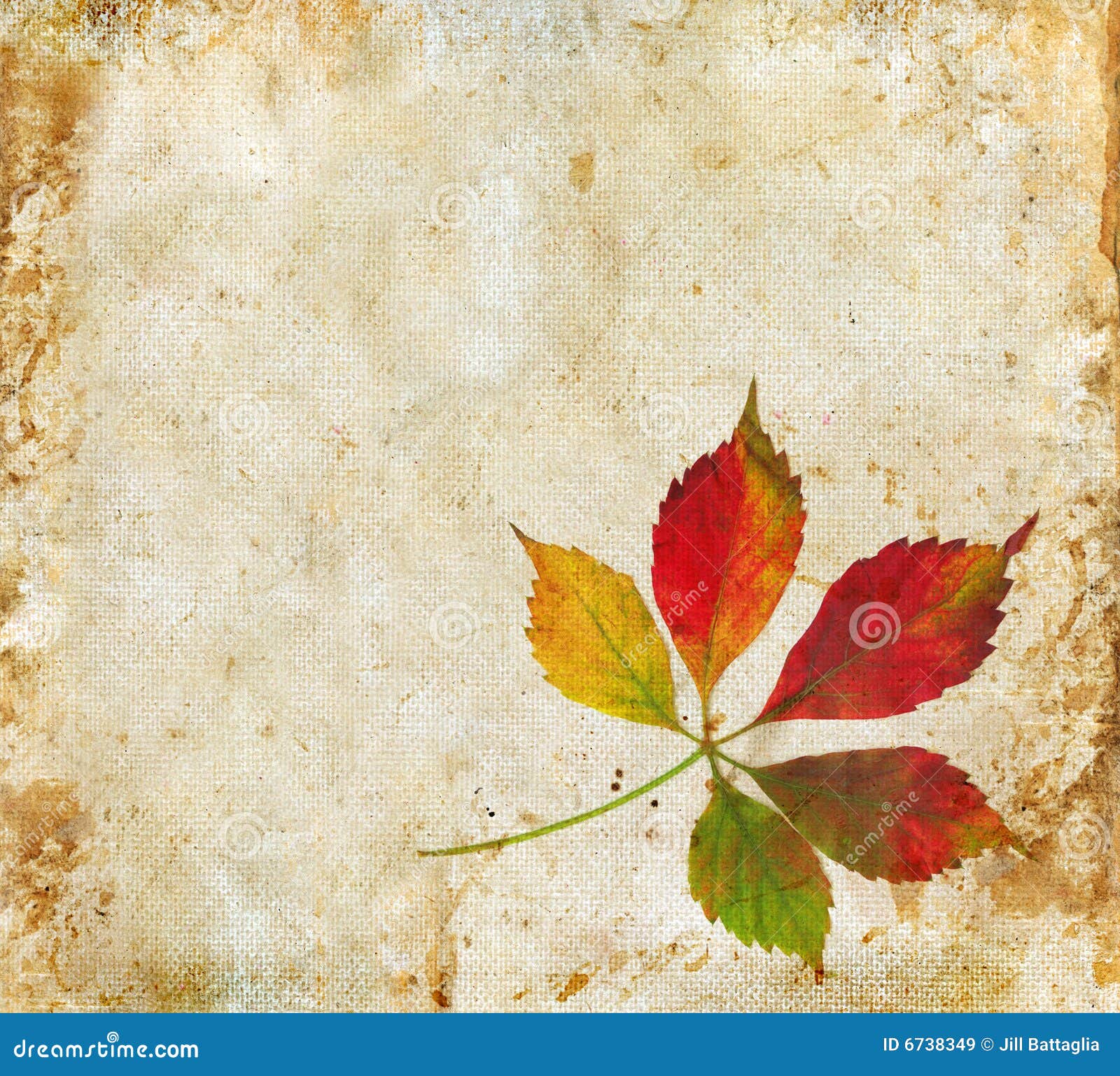 Fall Leaves on a Grunge Background Stock Illustration - Illustration of ...