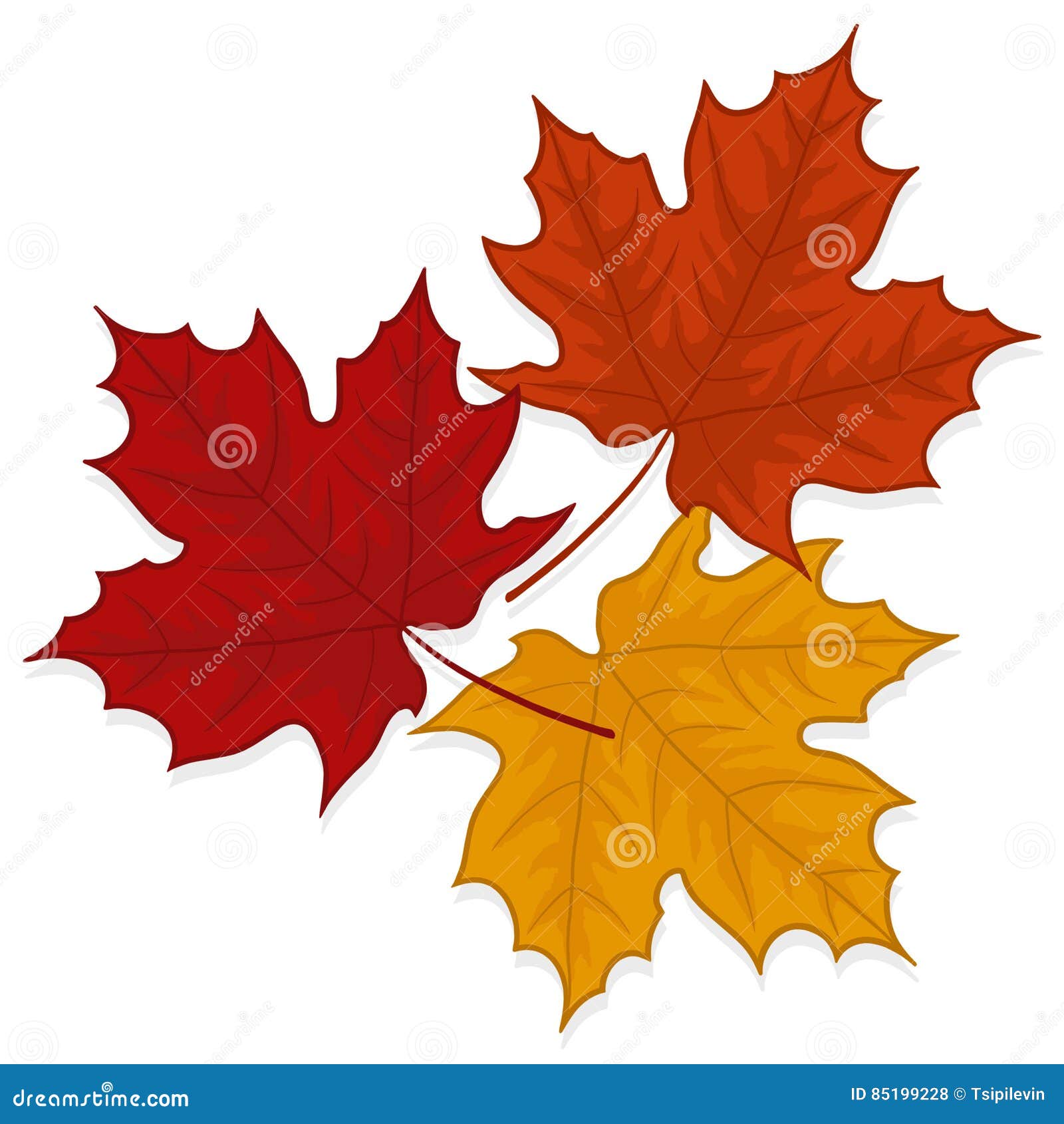 Fall leaves illustration stock illustration. Illustration of beautiful ...