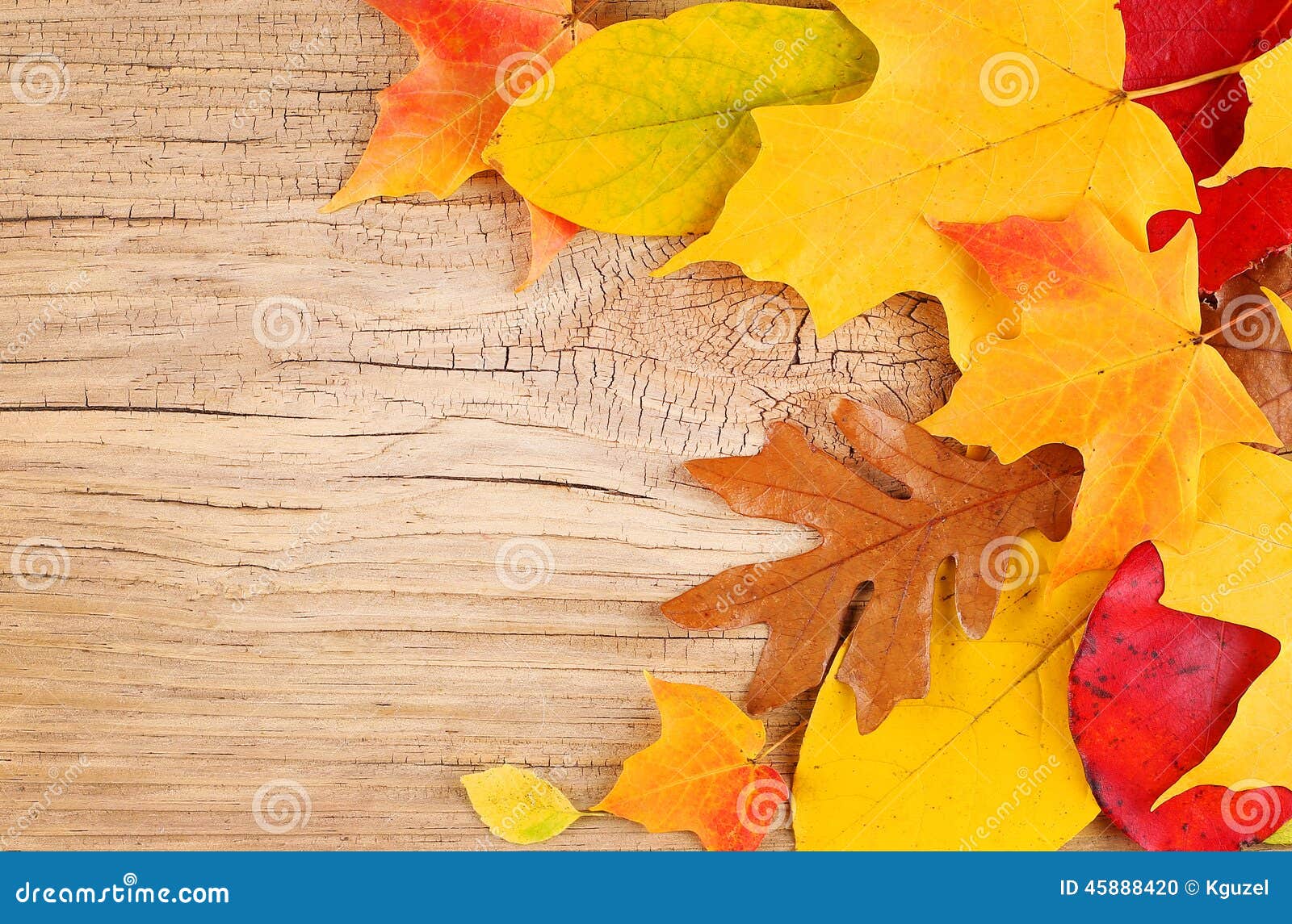 Fall Leaves on Old Wooden Background Stock Photo - Image of text ...