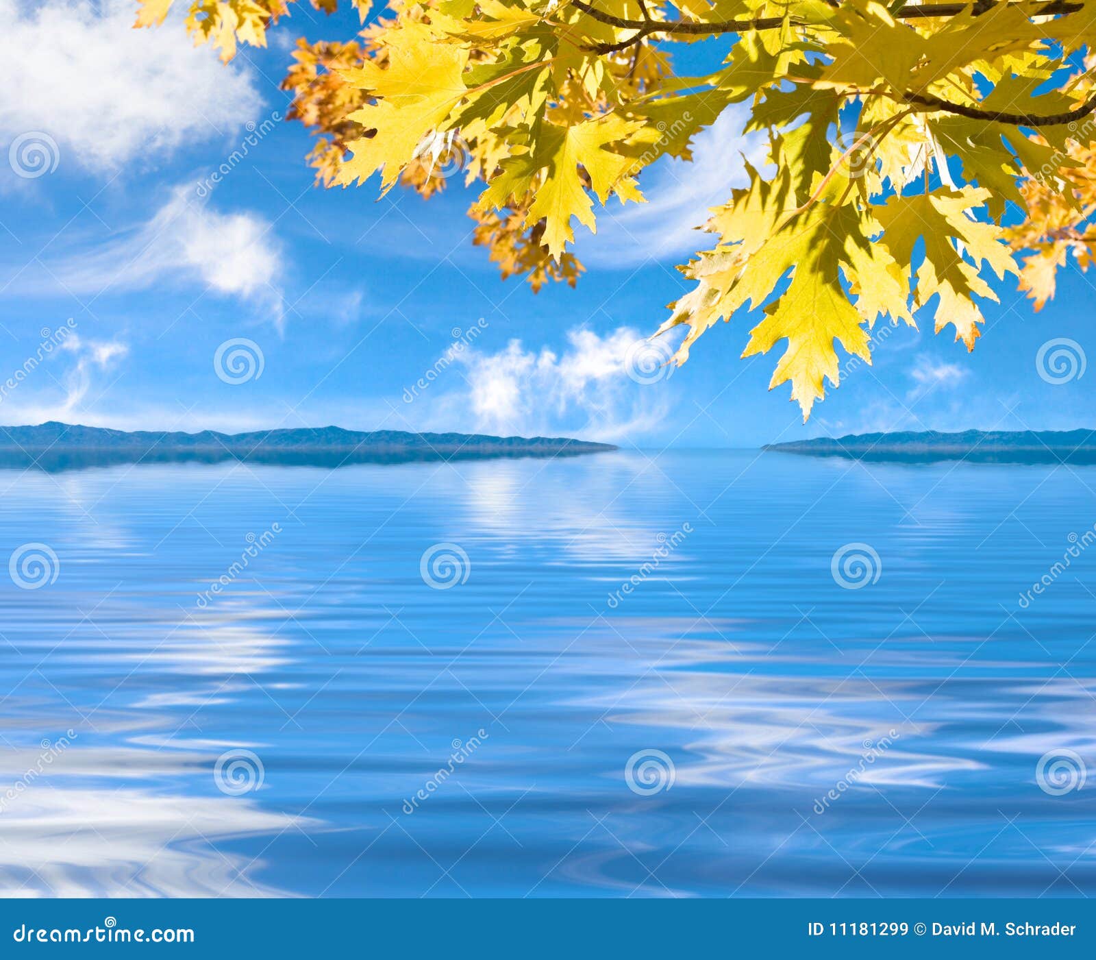 Fall Leaves over Water stock image. Image of clouds, cloudscape - 11181299
