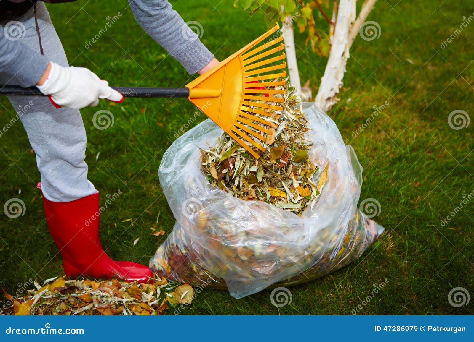 Fall leaves with rake stock image. Image of leaf, garden - 47286979