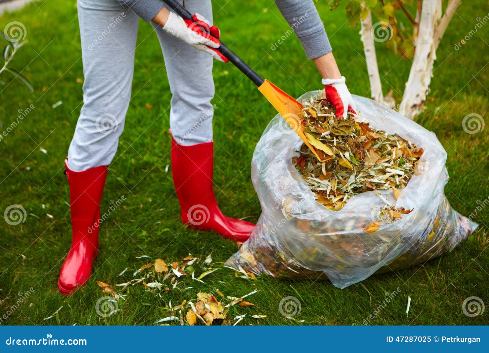 Fall leaves with rake stock image. Image of october, cleaning - 47287025