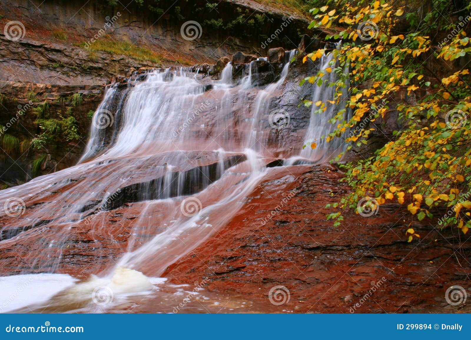 Fall Leaves Red Waterfall stock photo. Image of autumn - 299894