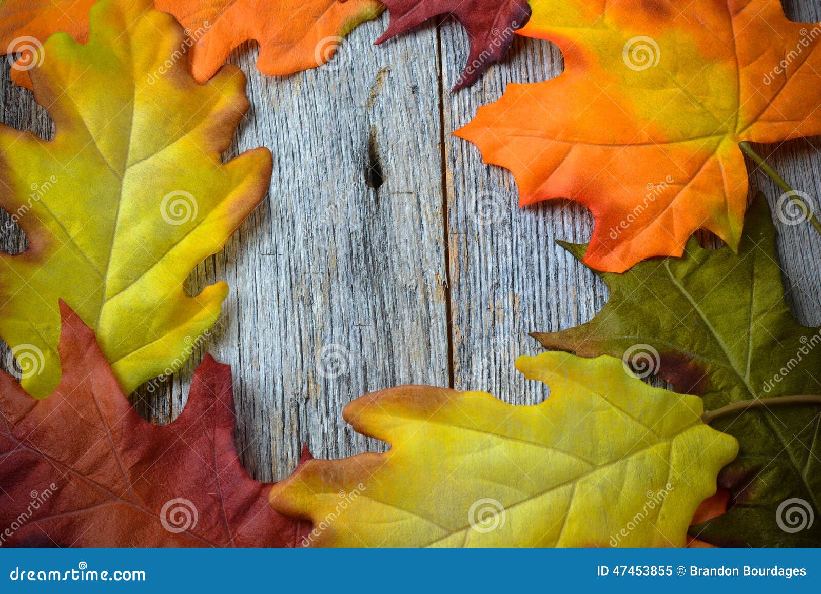 Fall Leaves on a Rustic Wood Background Stock Image - Image of closeup ...