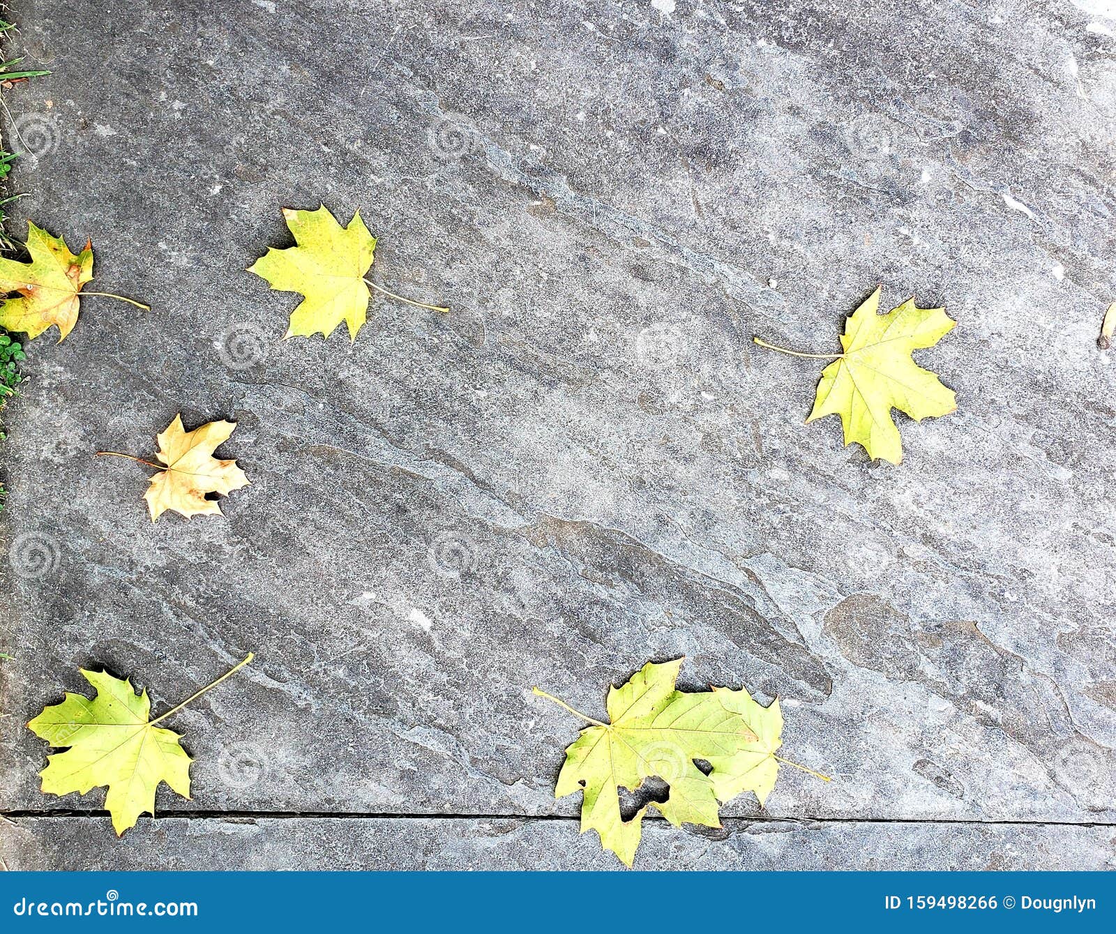 Fall Leaves on Stone Background Stock Photo - Image of granite, park ...