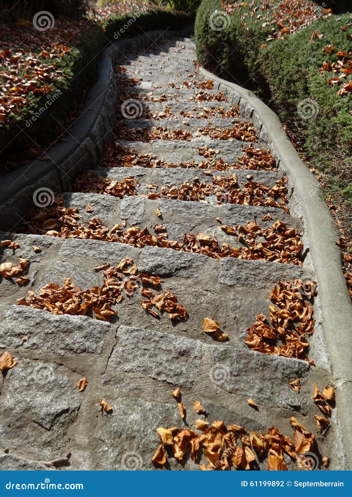 Fall Leaves on the Stone Steps Stock Photo - Image of leaves ...