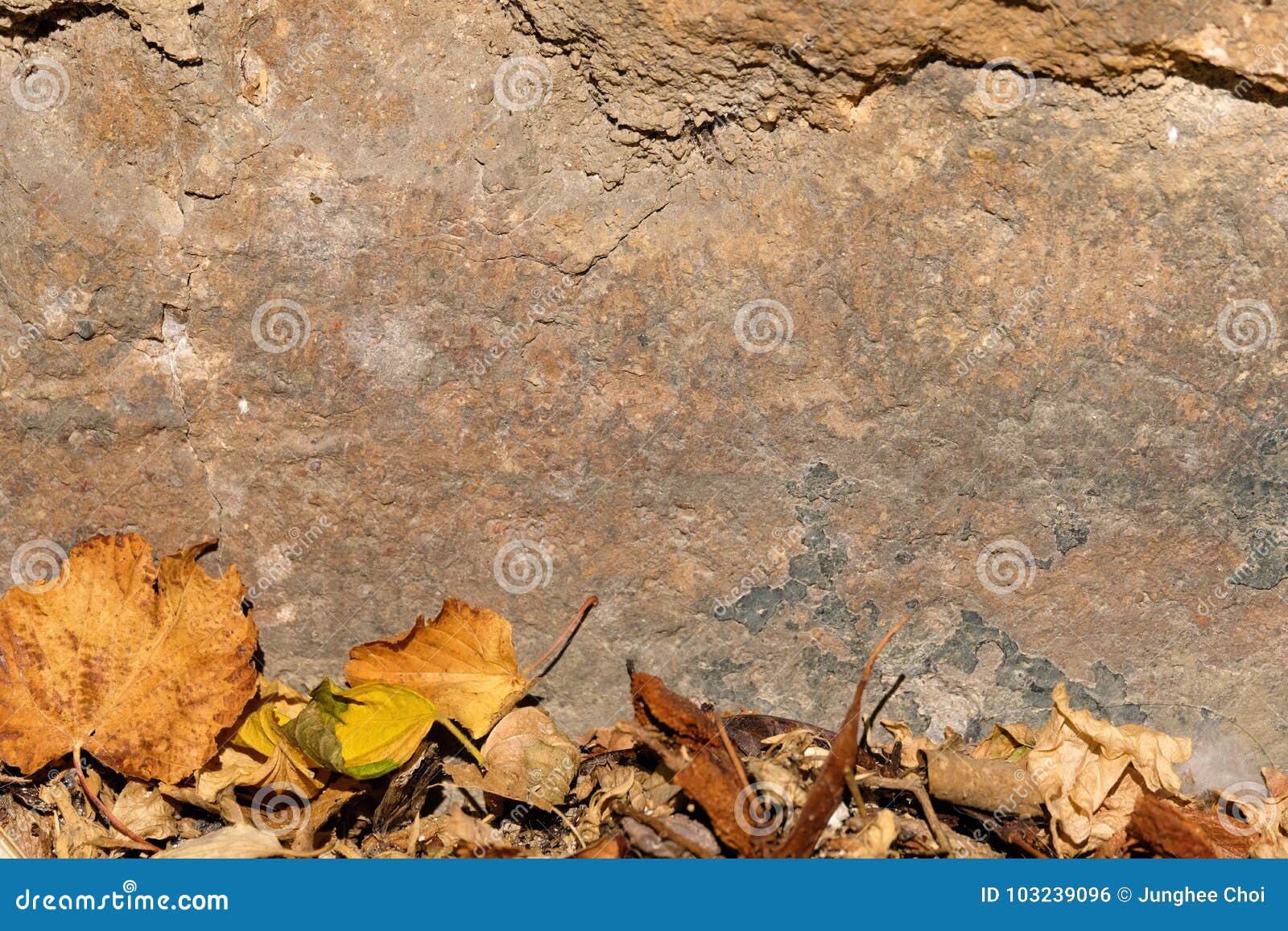 Fall Leaves on the Stone Wall Background Stock Photo - Image of leaves ...