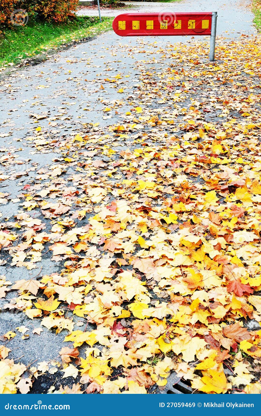 Fall of the leaves in town stock image. Image of township - 27059469