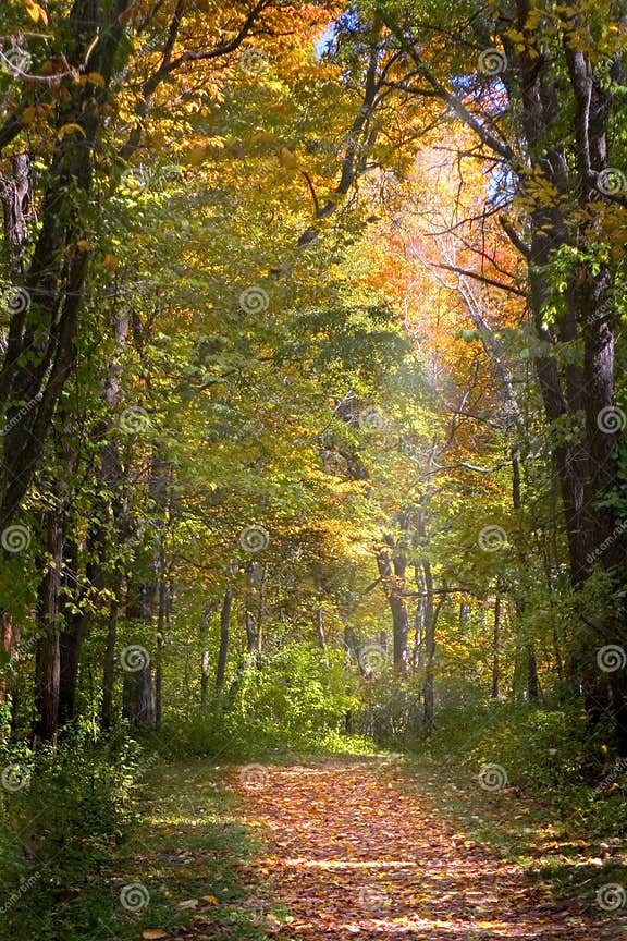 Fall Leaves Trail stock image. Image of landscape, direction - 1025711