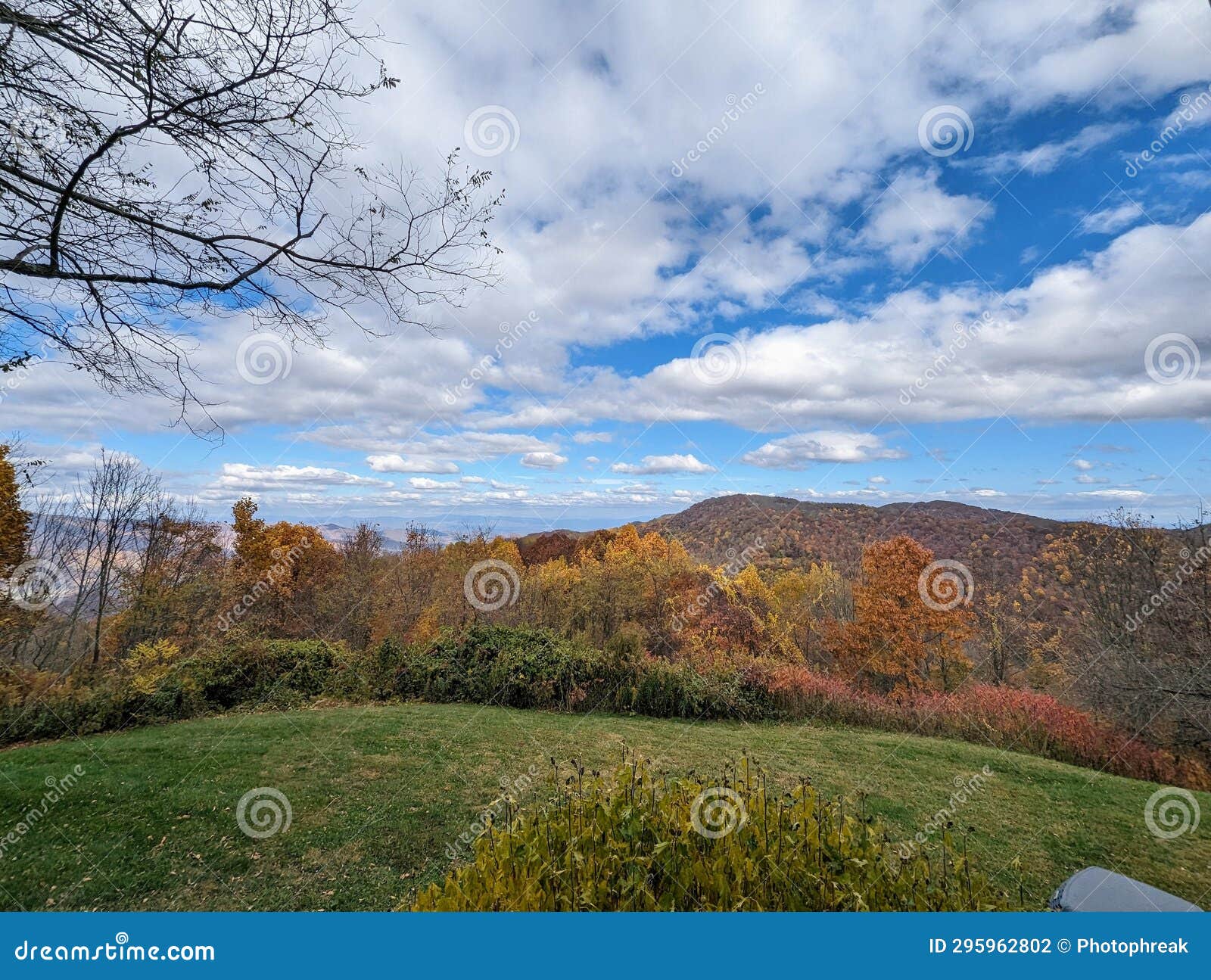 Fall Leaves in Trees in the Mountains Early Fall Stock Photo - Image of ...