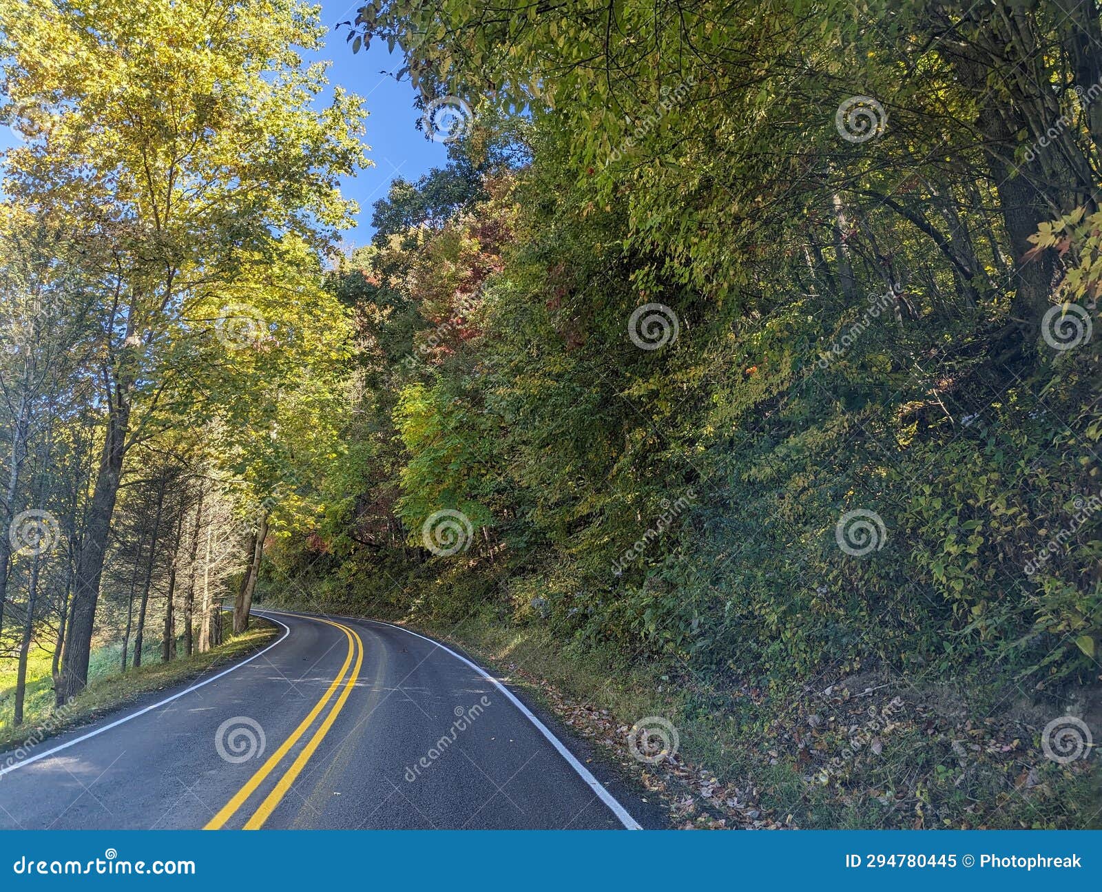 Fall Leaves in Trees in the Mountains Early Fall Stock Image - Image of ...