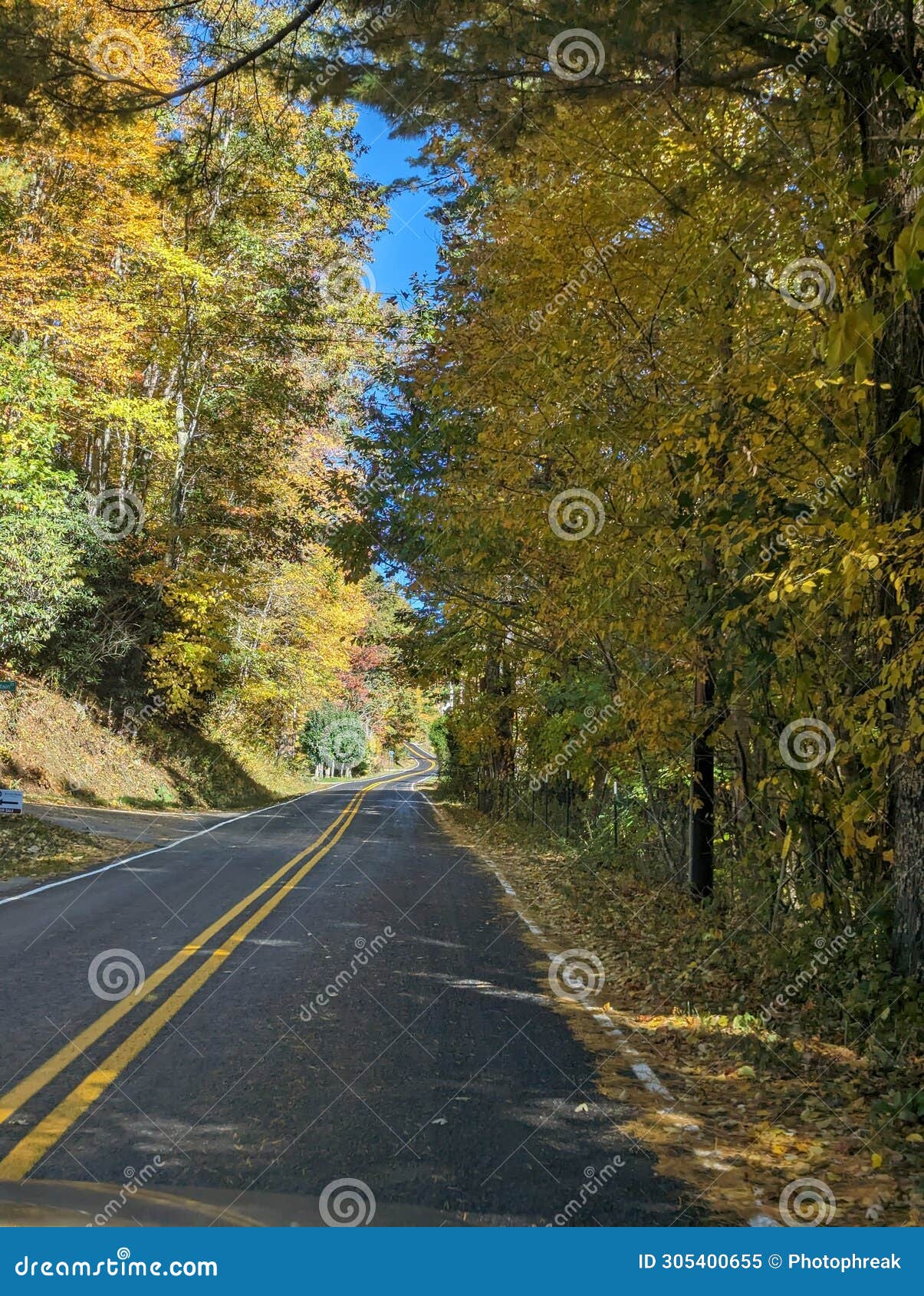Fall Leaves in Trees in the Mountains Early Fall Stock Image - Image of ...