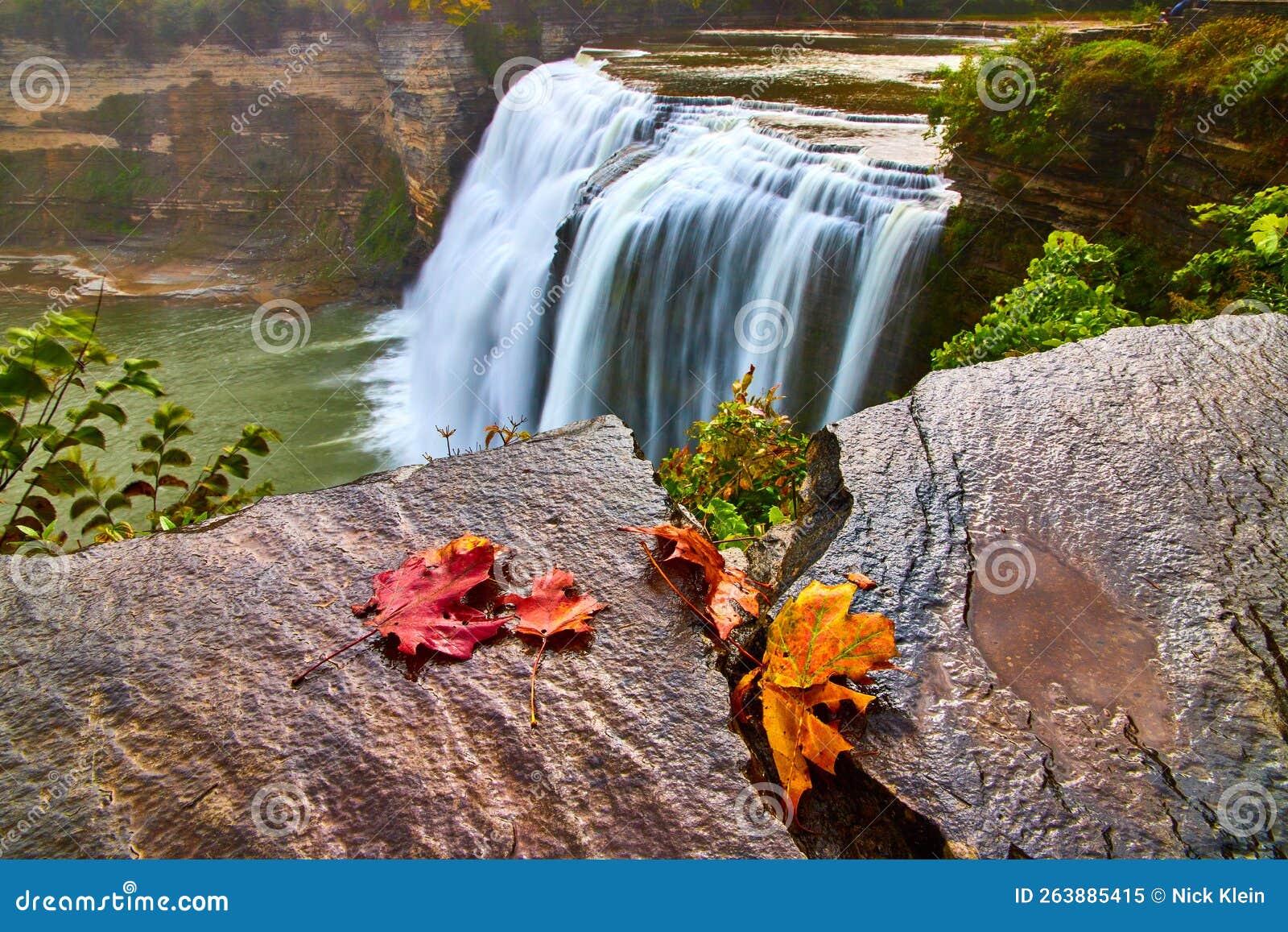 Fall Leaves on Wet Rocks with Huge Waterfall Behind Pouring Over Cliffs ...