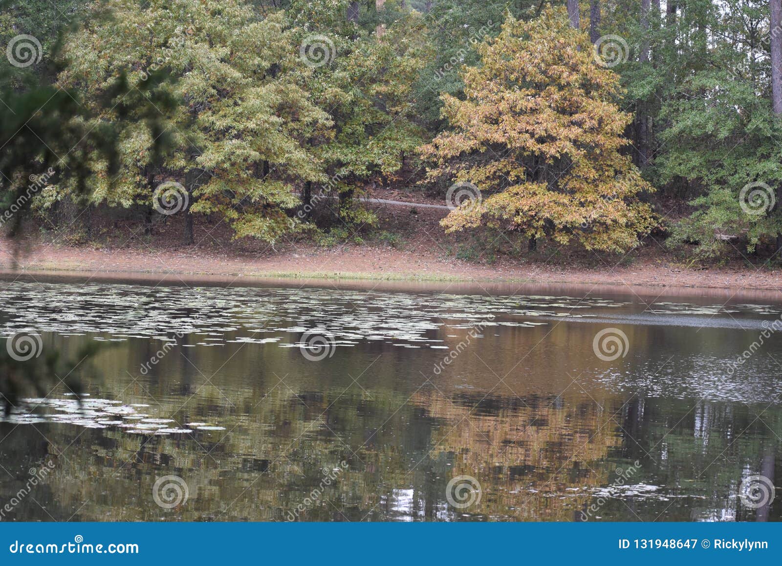 Fall an Lindale-Park in Lindale Texas Nov 18 2018 Stockbild - Bild von ...