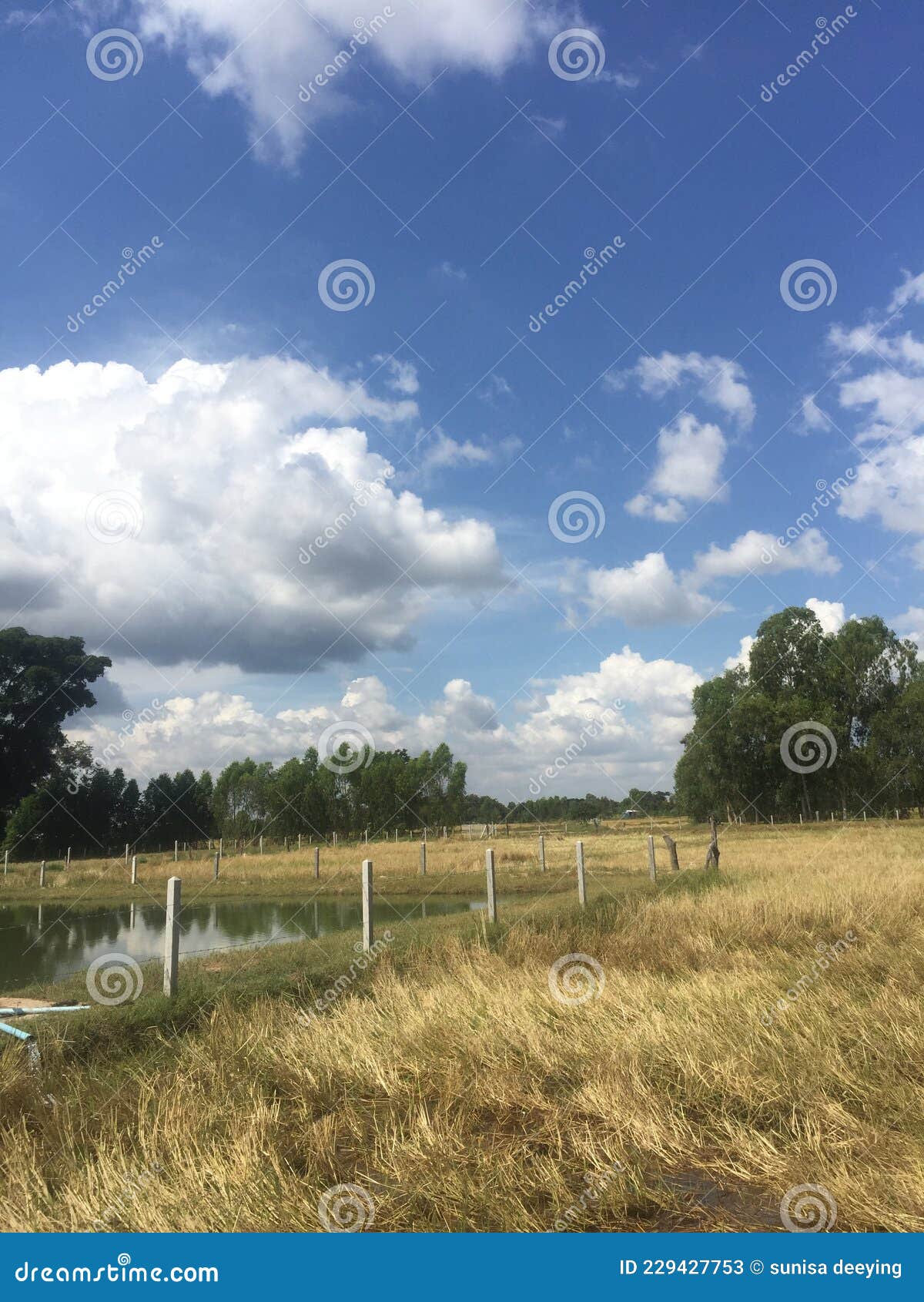 Creative nature stock image. Image of love, creative - 229427753