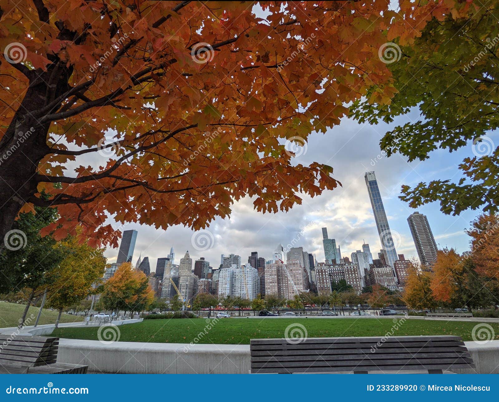 Fall in Manhattan editorial image. Image of island, spectacular - 233289920