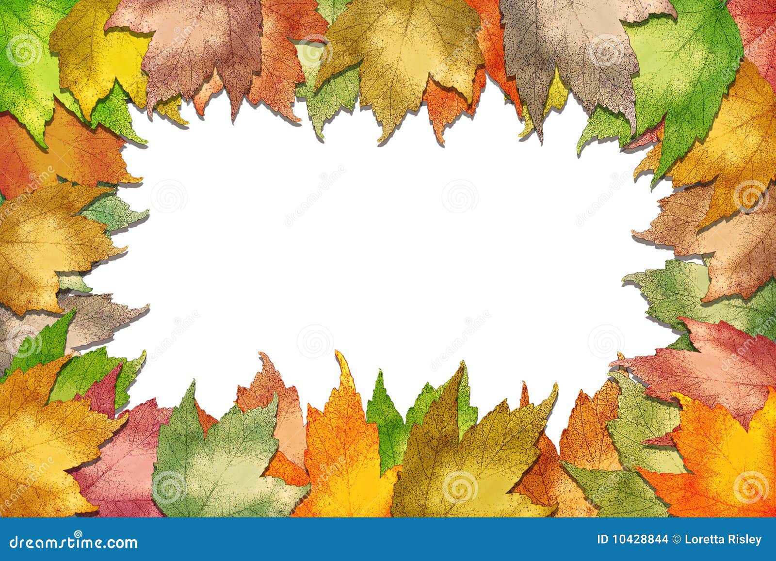 Fall maple leaf border stock illustration. Illustration of fall - 10428844