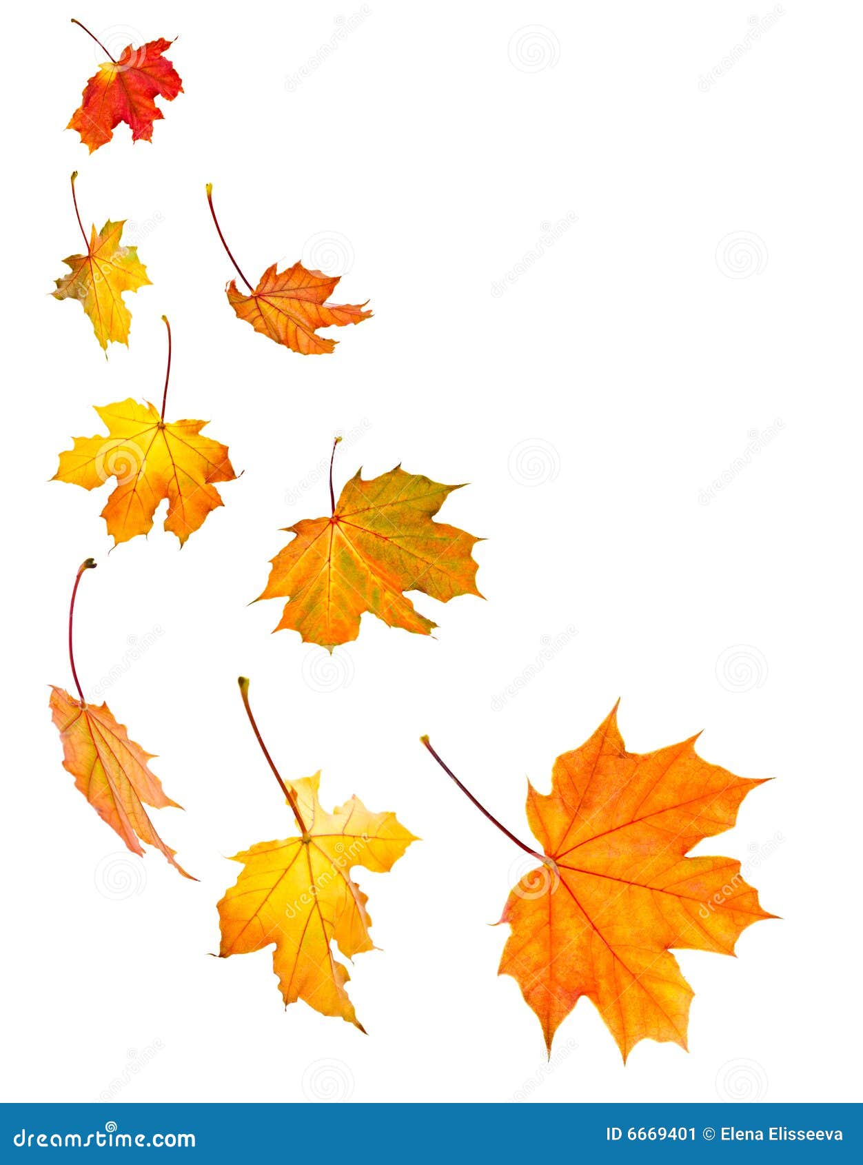 Fall Maple Leaves Background Stock Image - Image of colour, framed: 6669401
