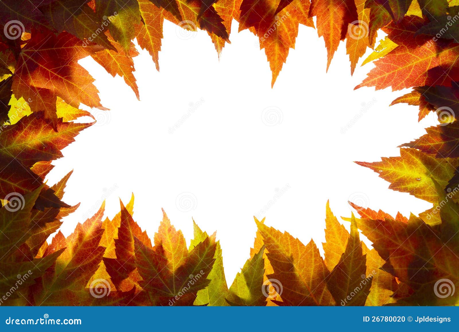Fall Maple Leaves Border on White Stock Photo - Image of yellow, nature ...