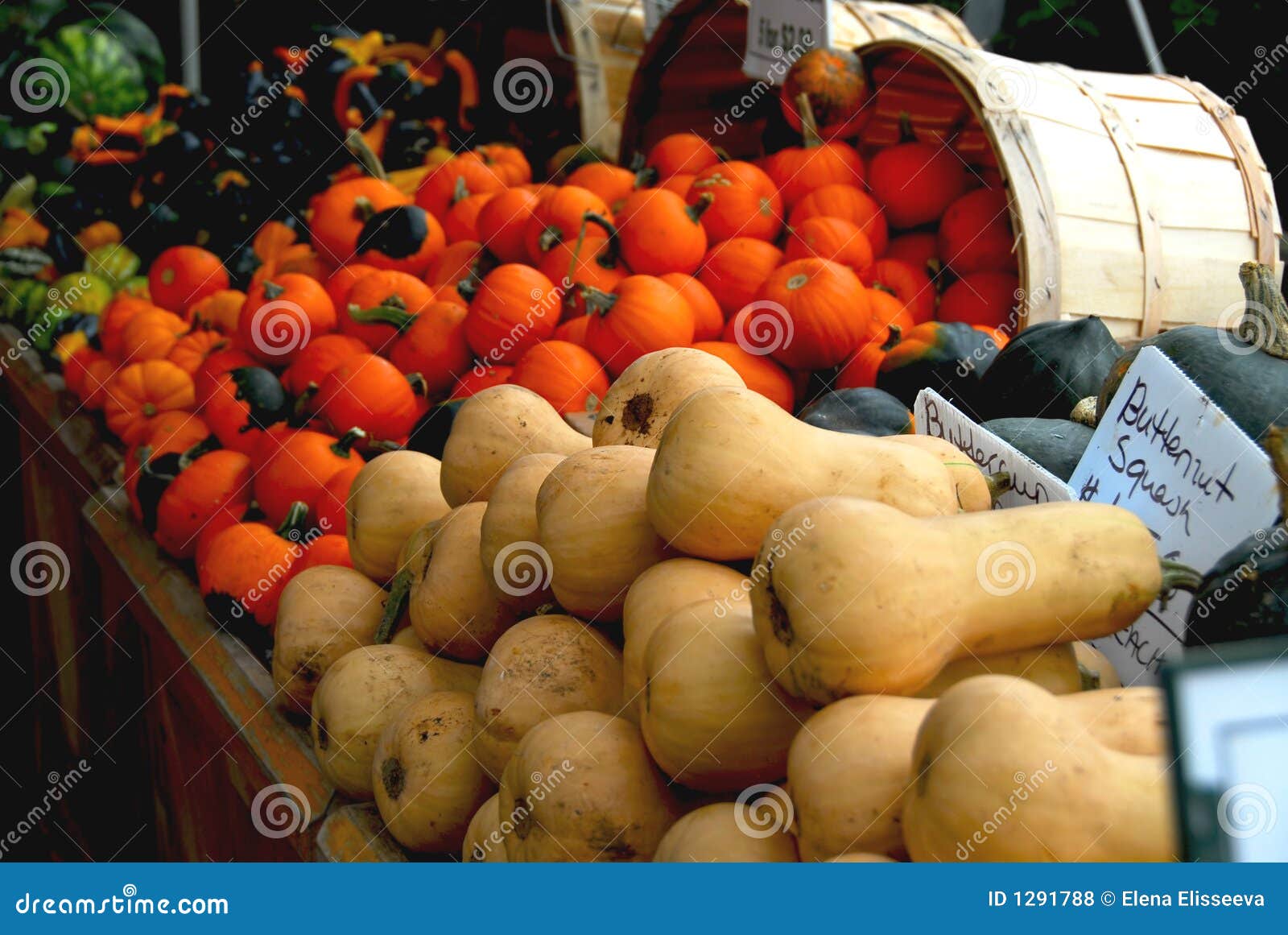 Fall market stock photo. Image of autumn, farmer, produce - 1291788