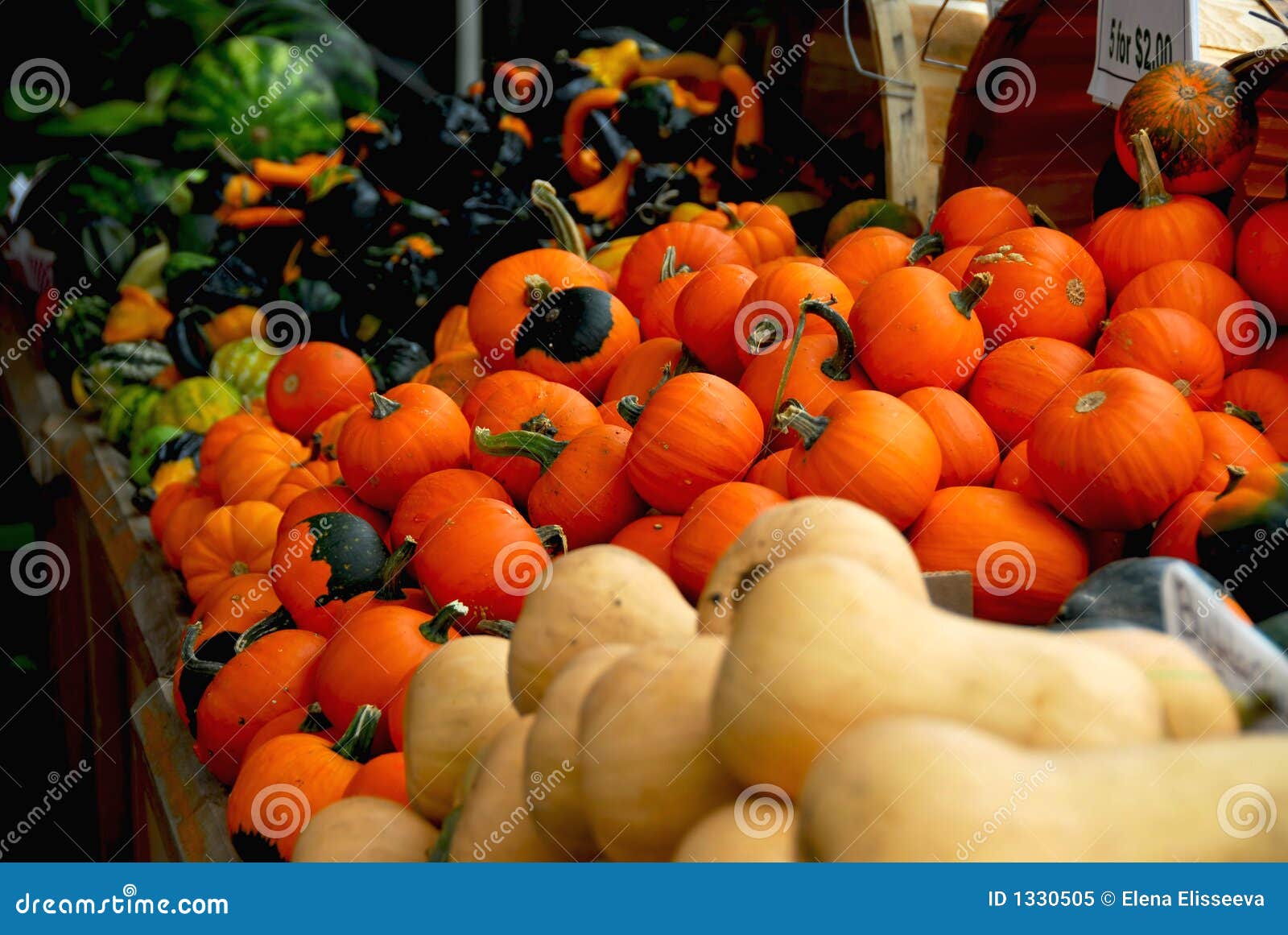Fall market stock image. Image of bright, groceries, orange - 1330505