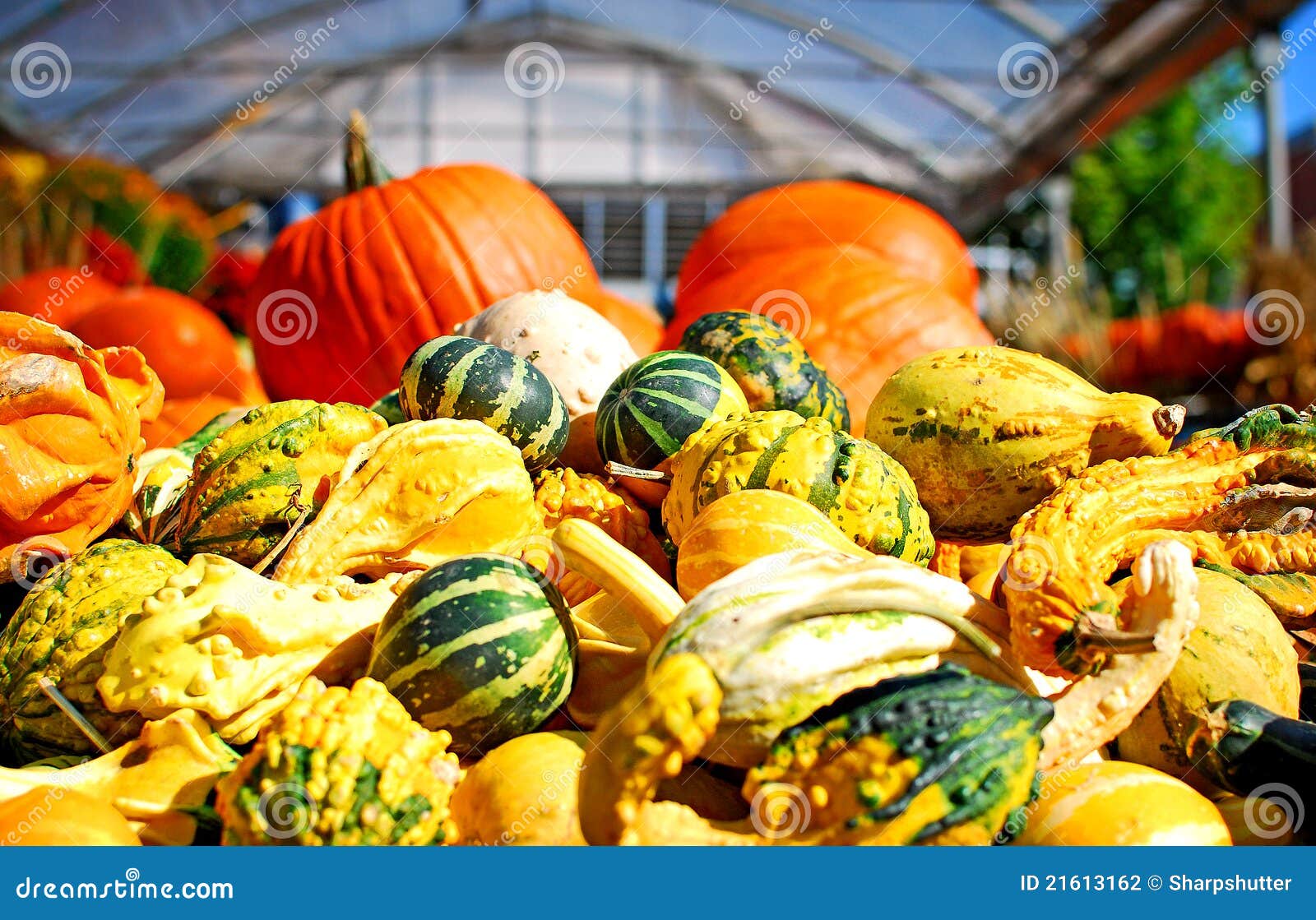Fall Market stock photo. Image of decorate, sizes, carve - 21613162