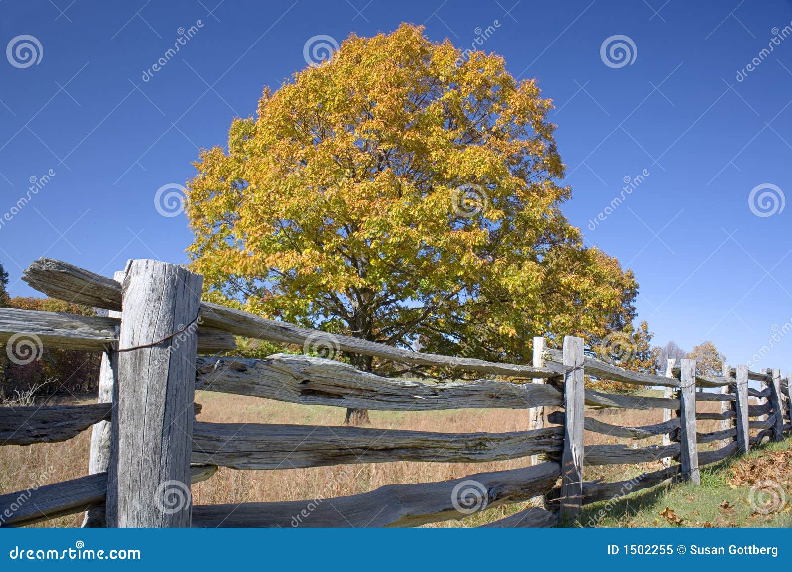 Fall Meadow stock image. Image of north, foliage, green - 1502255