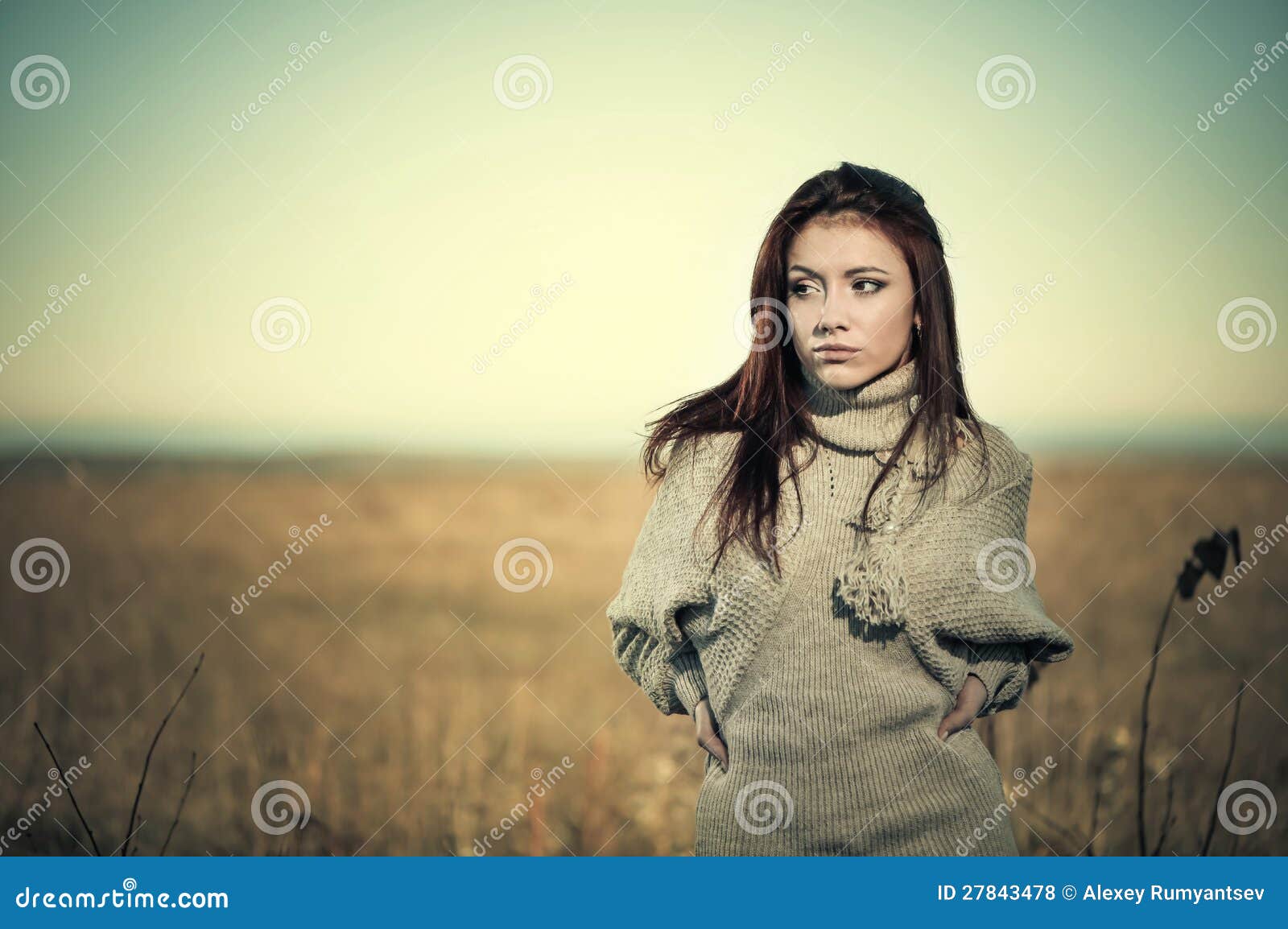 Fall meadow woman portrait stock photo. Image of sunlight - 27843478