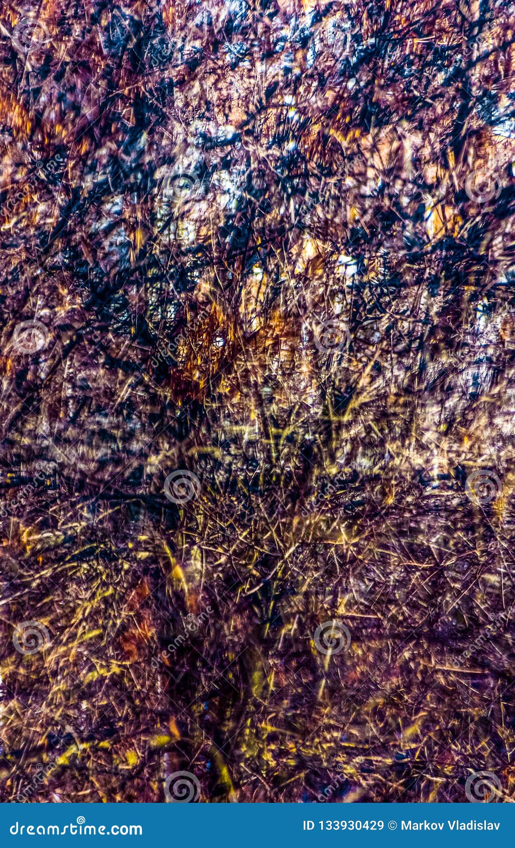 Jackson Pollock Trees Royalty-Free Stock Photography | CartoonDealer ...