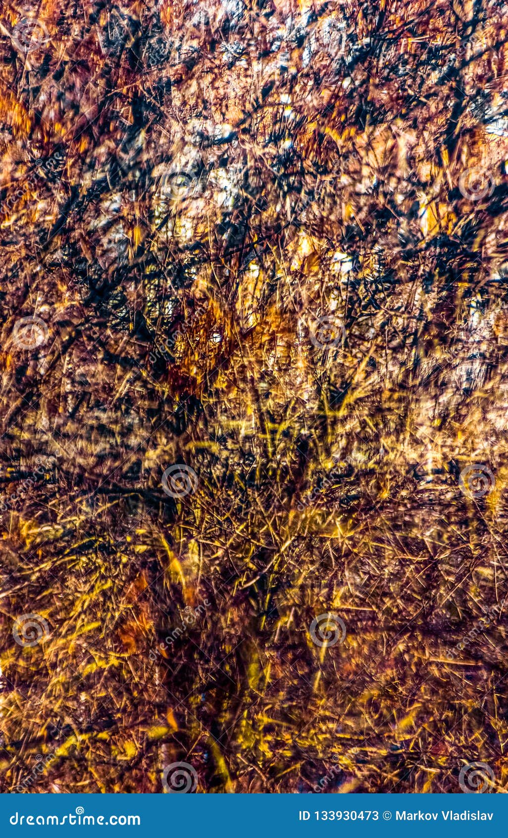 Fall of Memories of Jackson Pollock Stock Image - Image of exposure ...